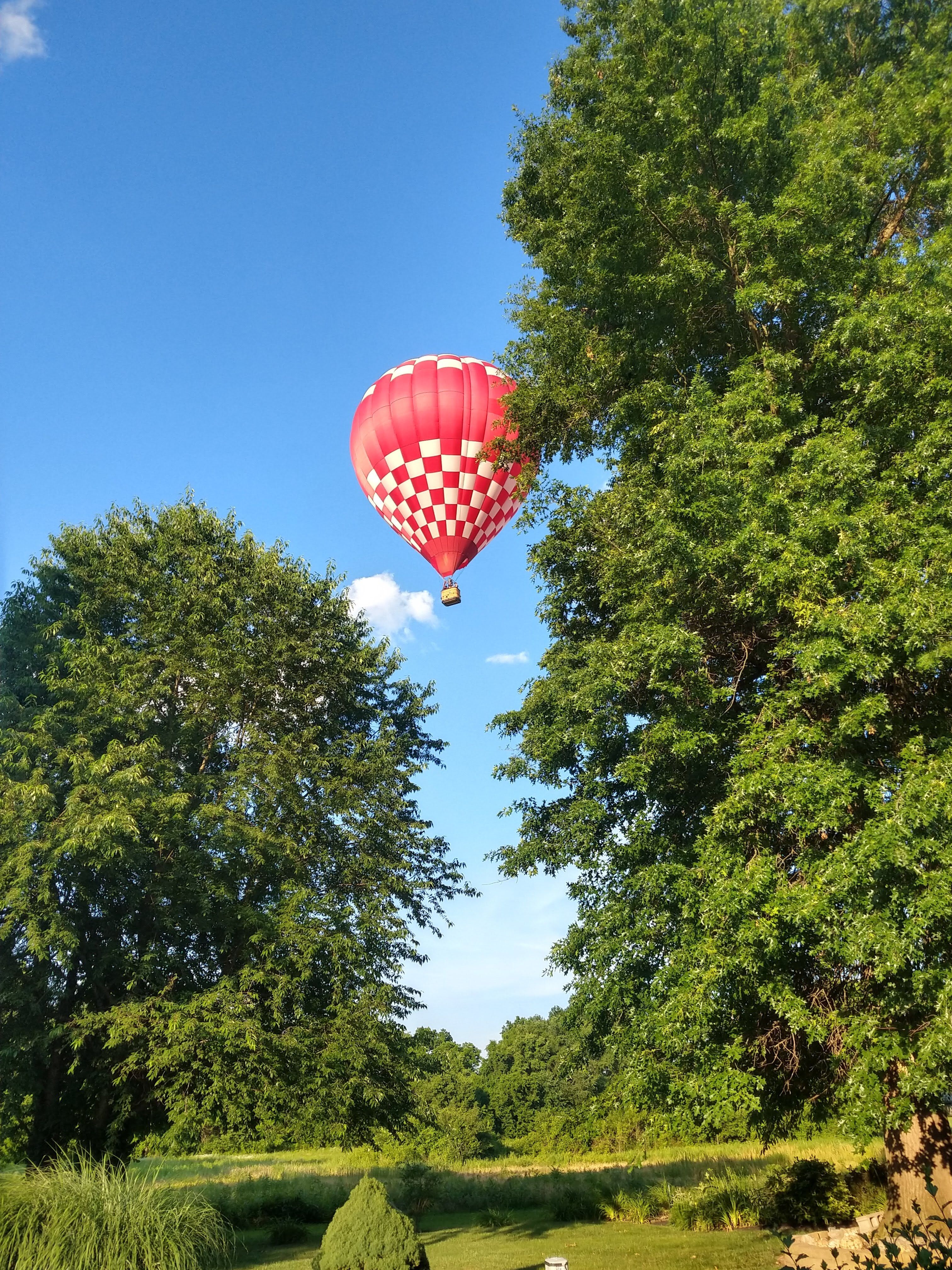 Red Hot Air Balloon in a Summer Landscape · Free Stock Photo