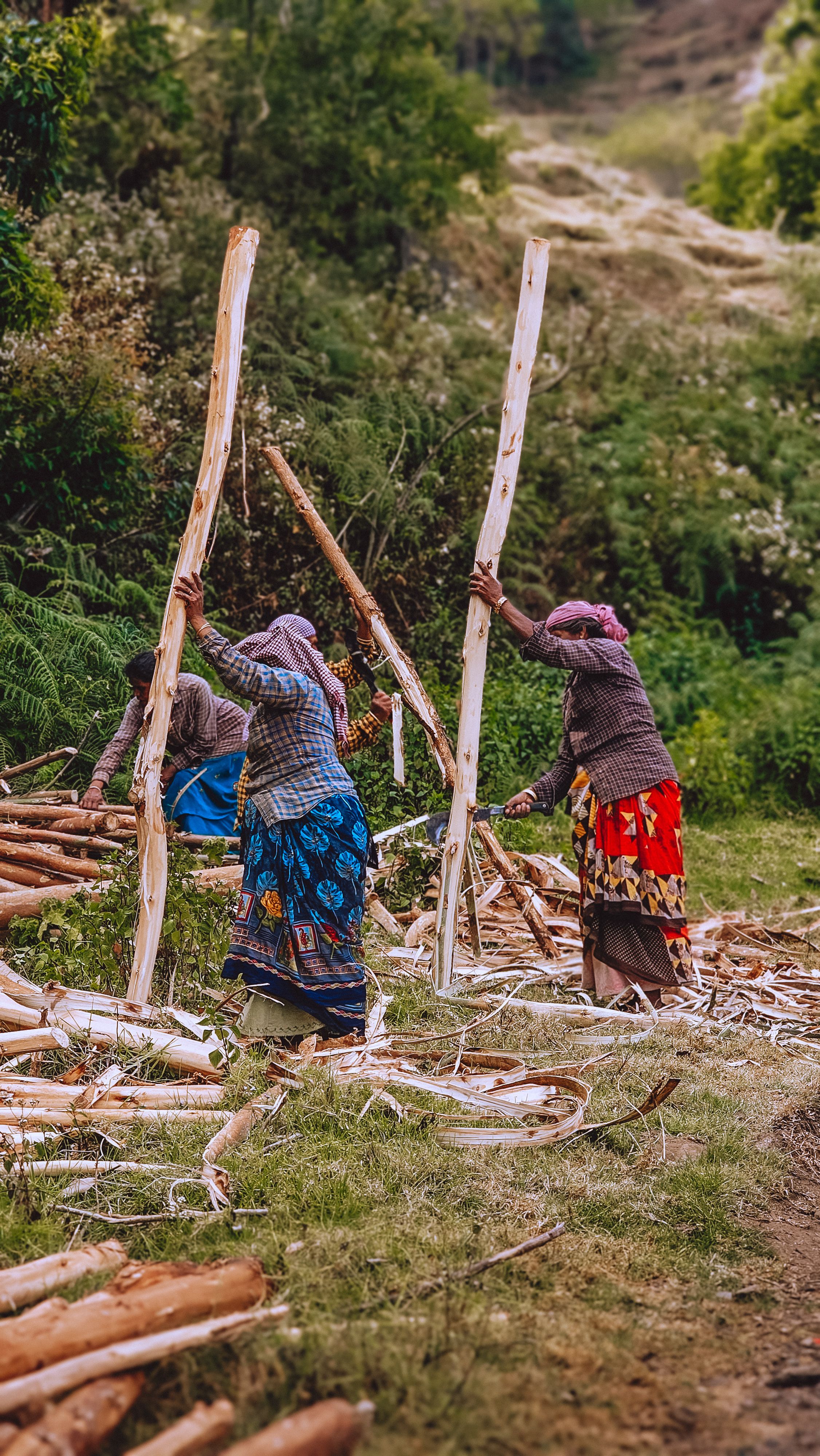 Women Working with Wooden Poles in Rural Setting · Free Stock Photo