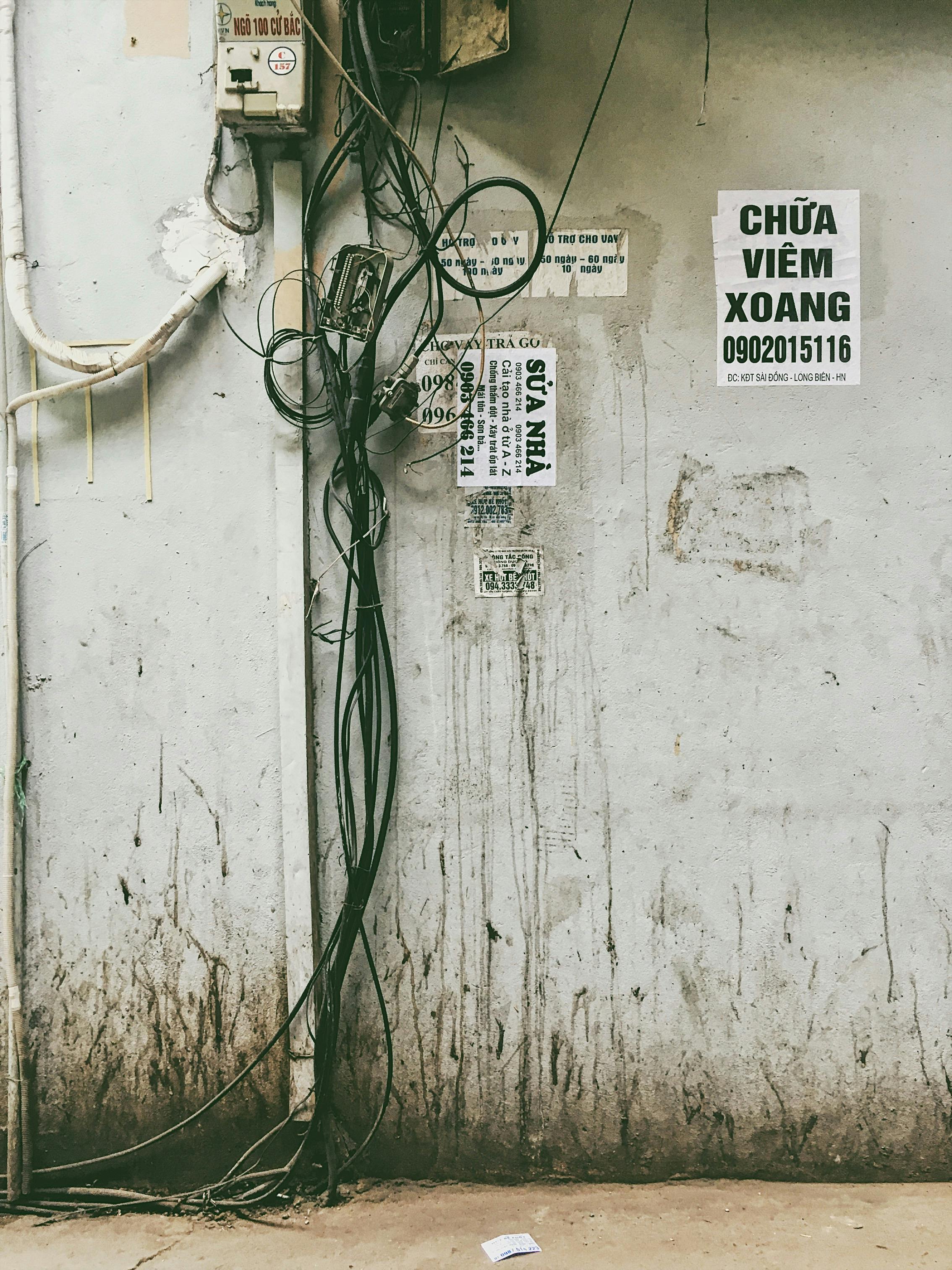 40.000+ Full Flyer Bilder und Fotos · Kostenlos Downloaden · Pexels ...