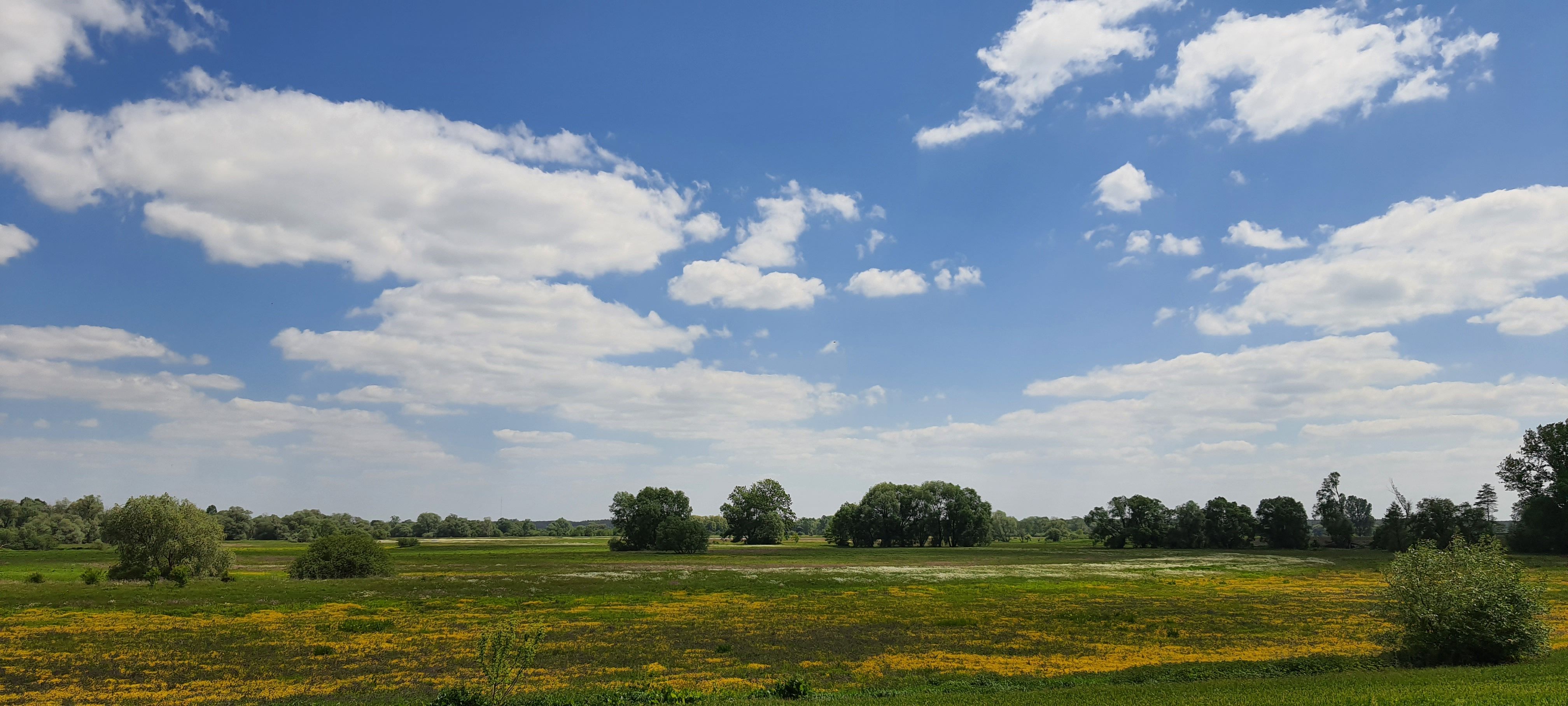 Scenic Summer Landscape in Kresy, Poland · Free Stock Photo