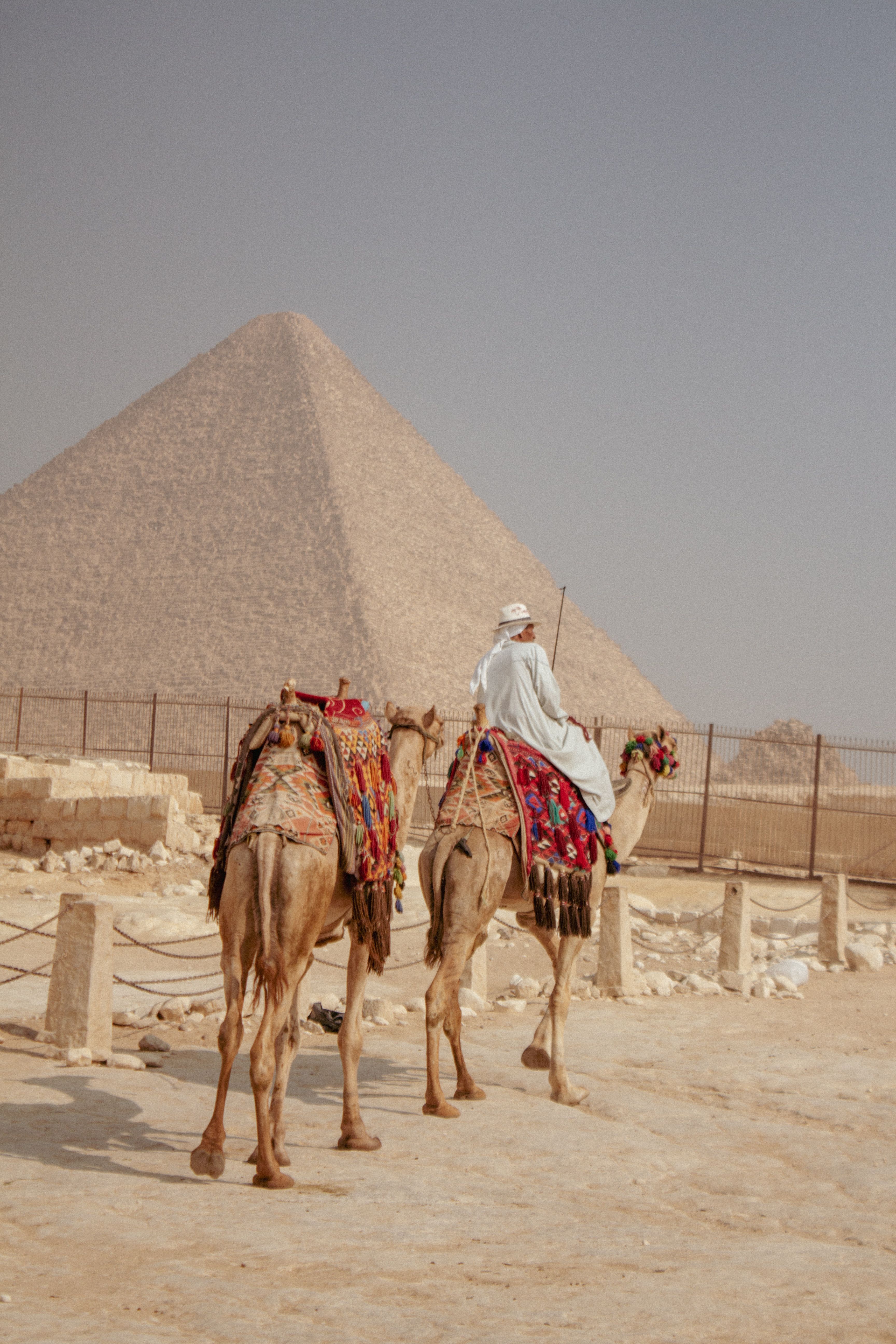 Three Brown Camels Near Building Under Cloudy Sky · Free Stock Photo