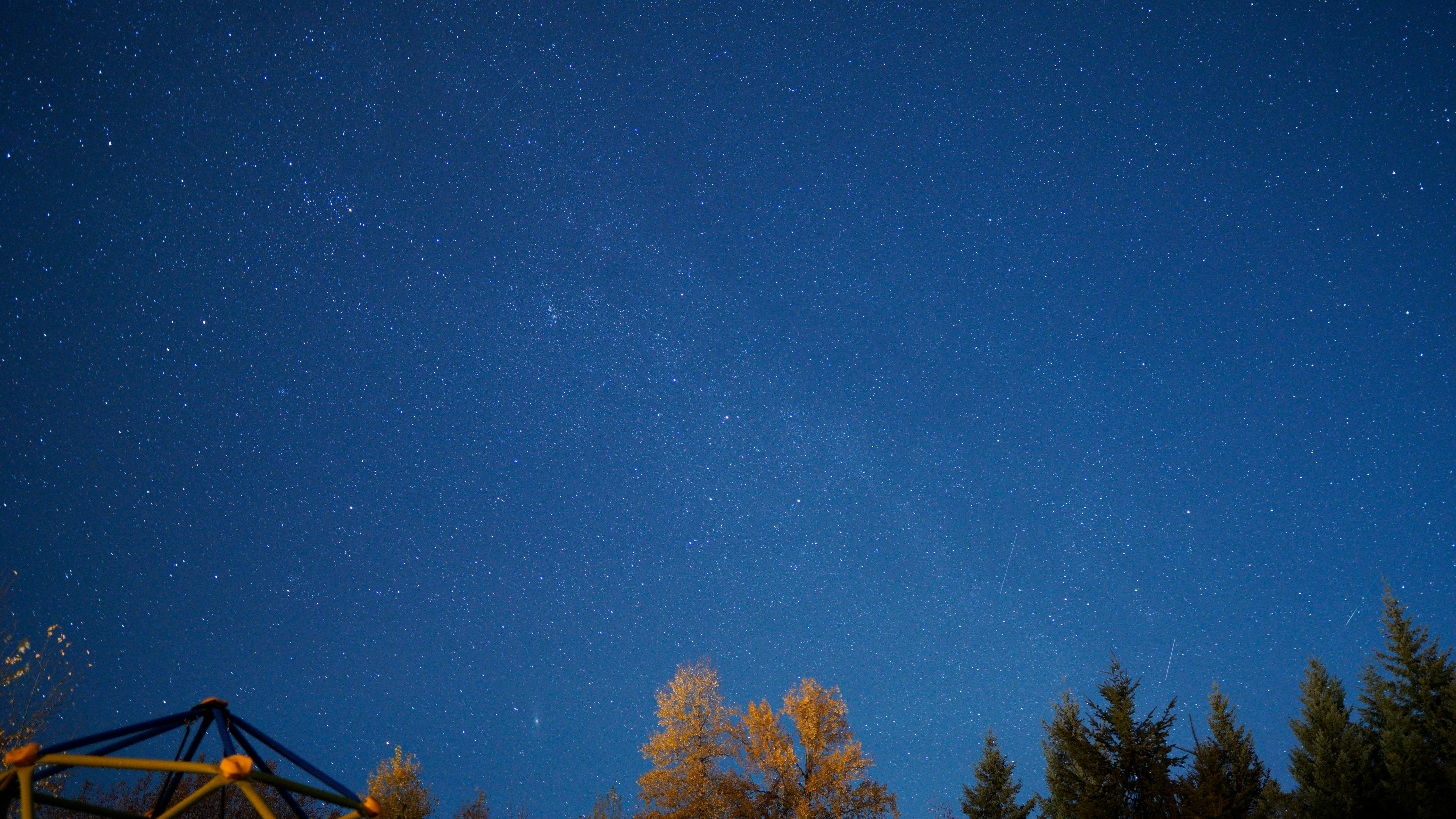 Starry Night Sky Above Forest Landscape · Free Stock Photo