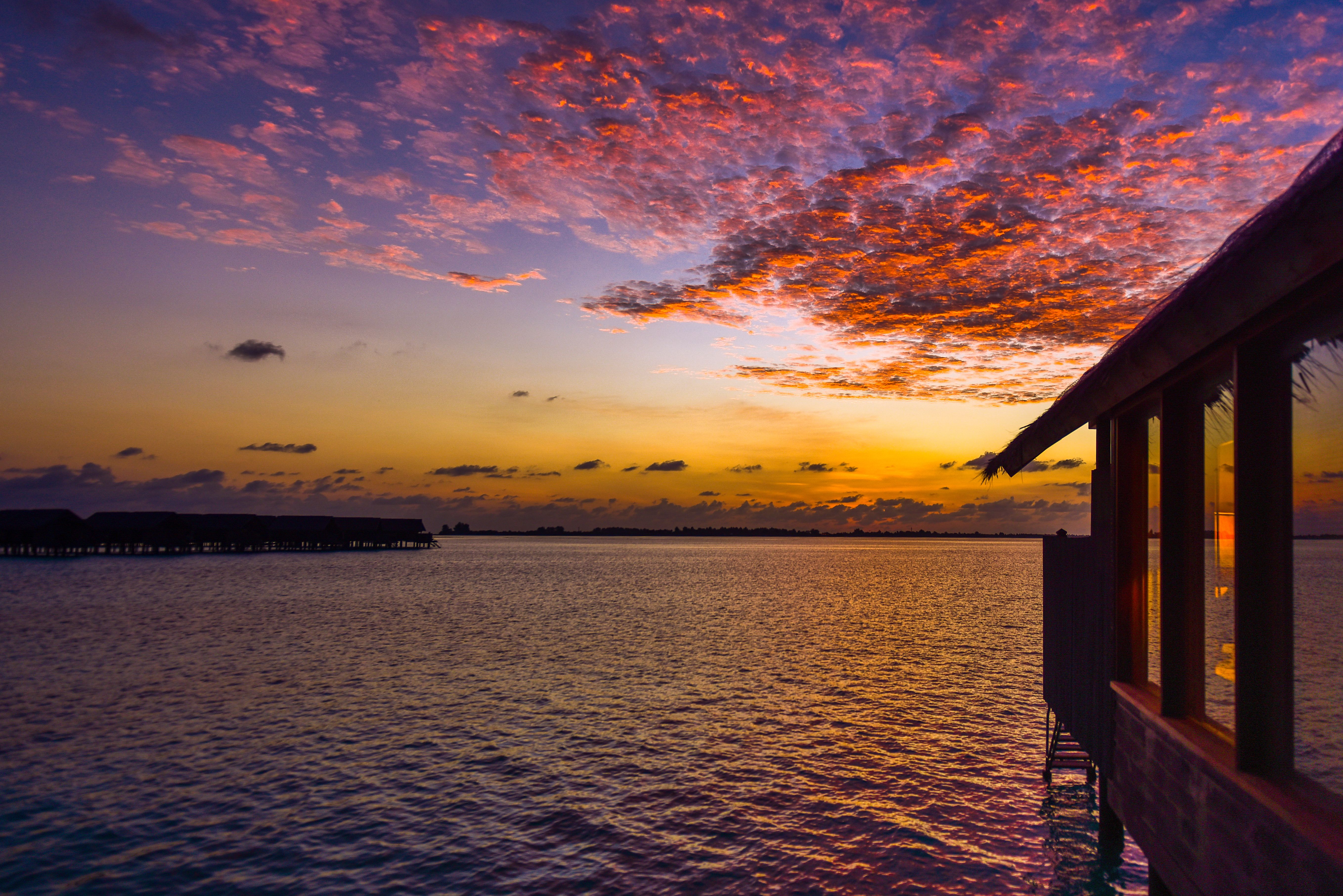 Stunning Tropical Sunset over Ocean Horizon · Free Stock Photo