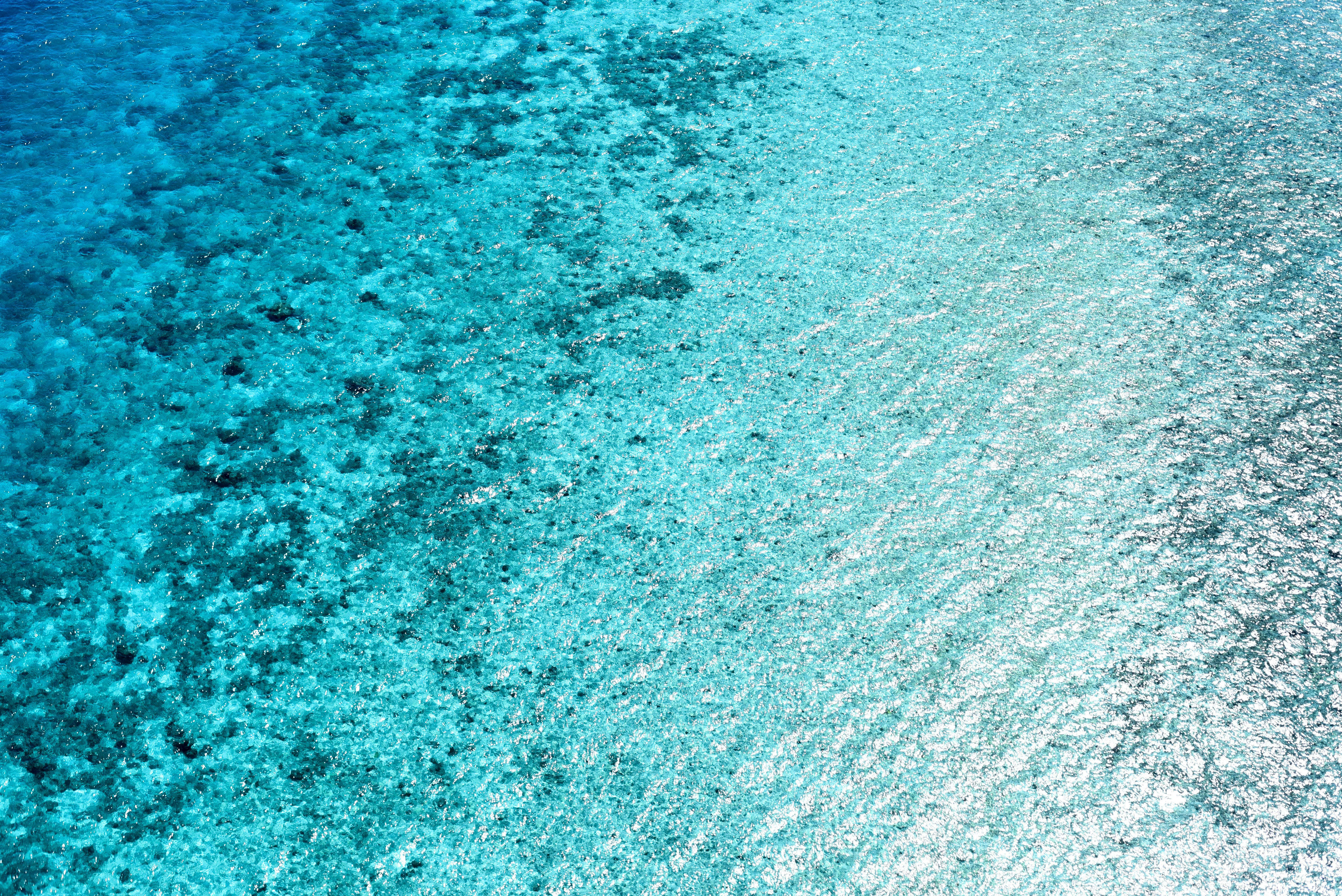 Aerial View of Turquoise Ocean Water · Free Stock Photo