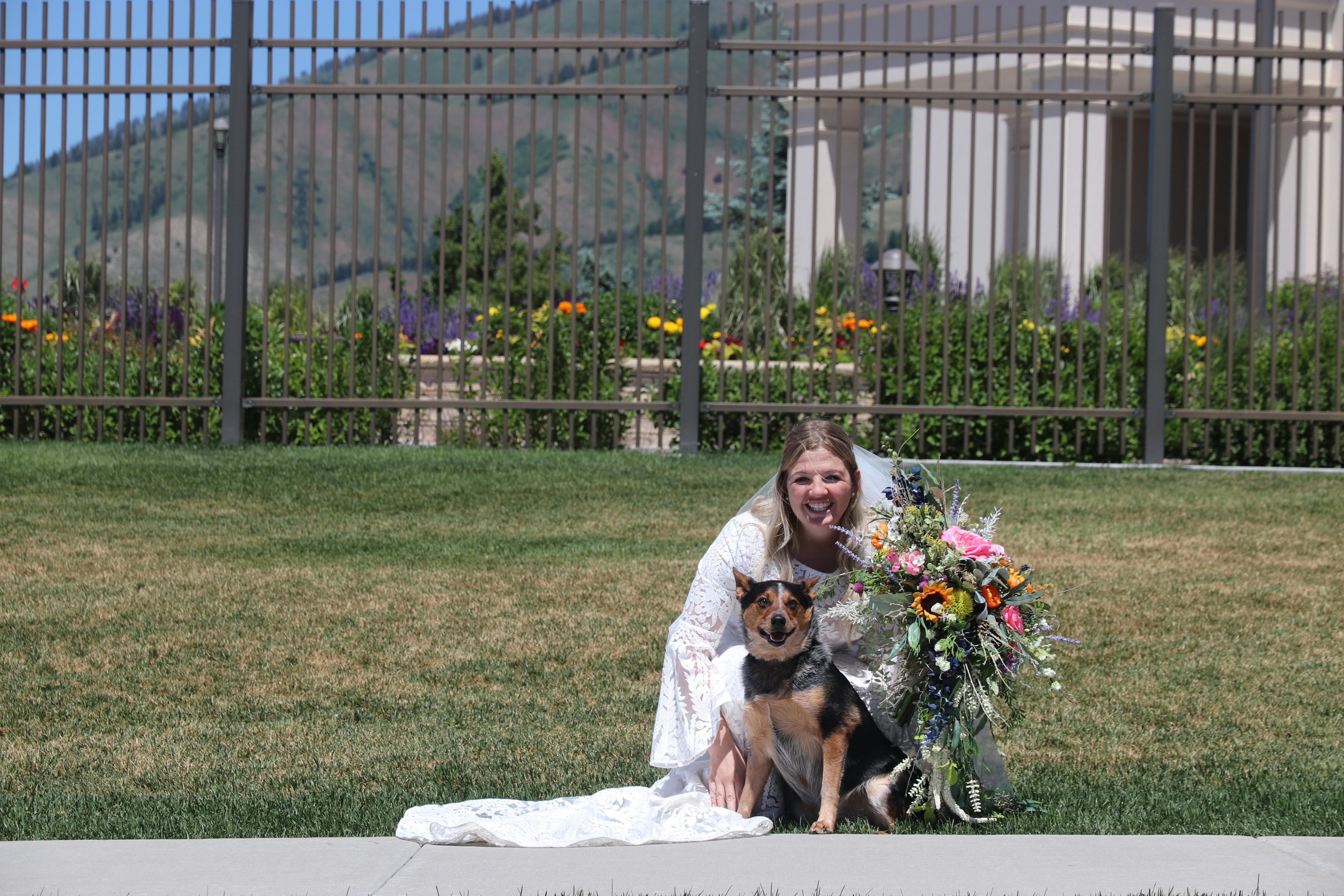 Bride And Dog Photos, Download The BEST Free Bride And Dog Stock Photos ...