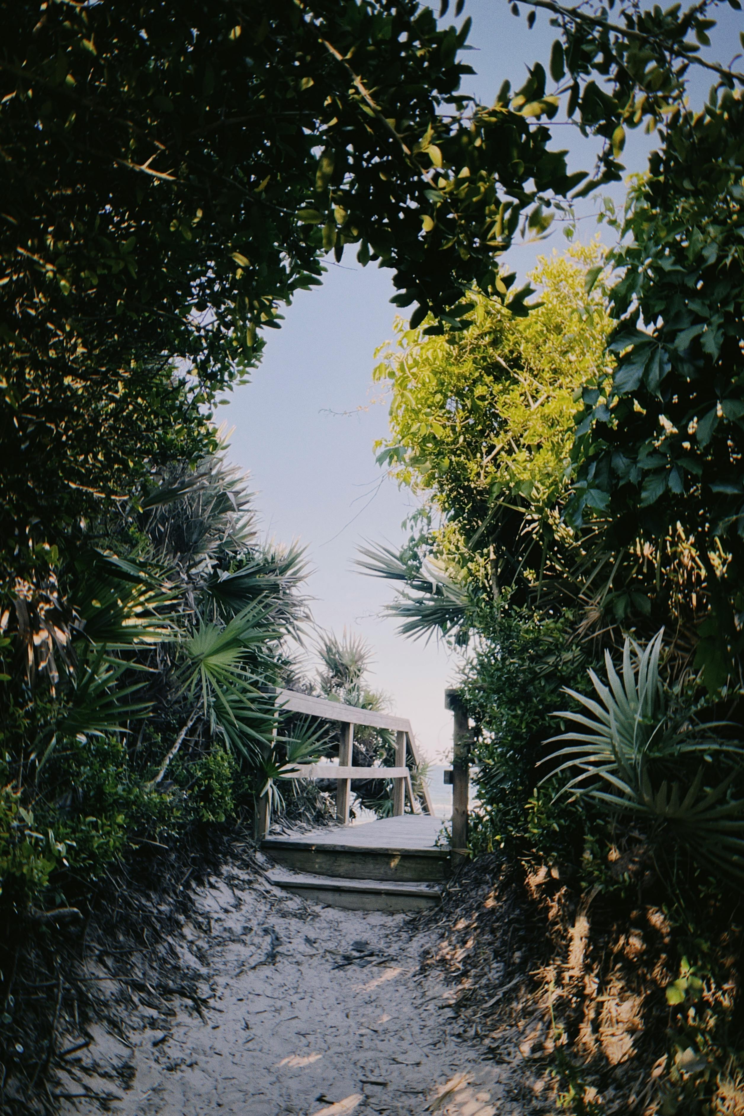 Scenic Pathway to St. Augustine Beach · Free Stock Photo