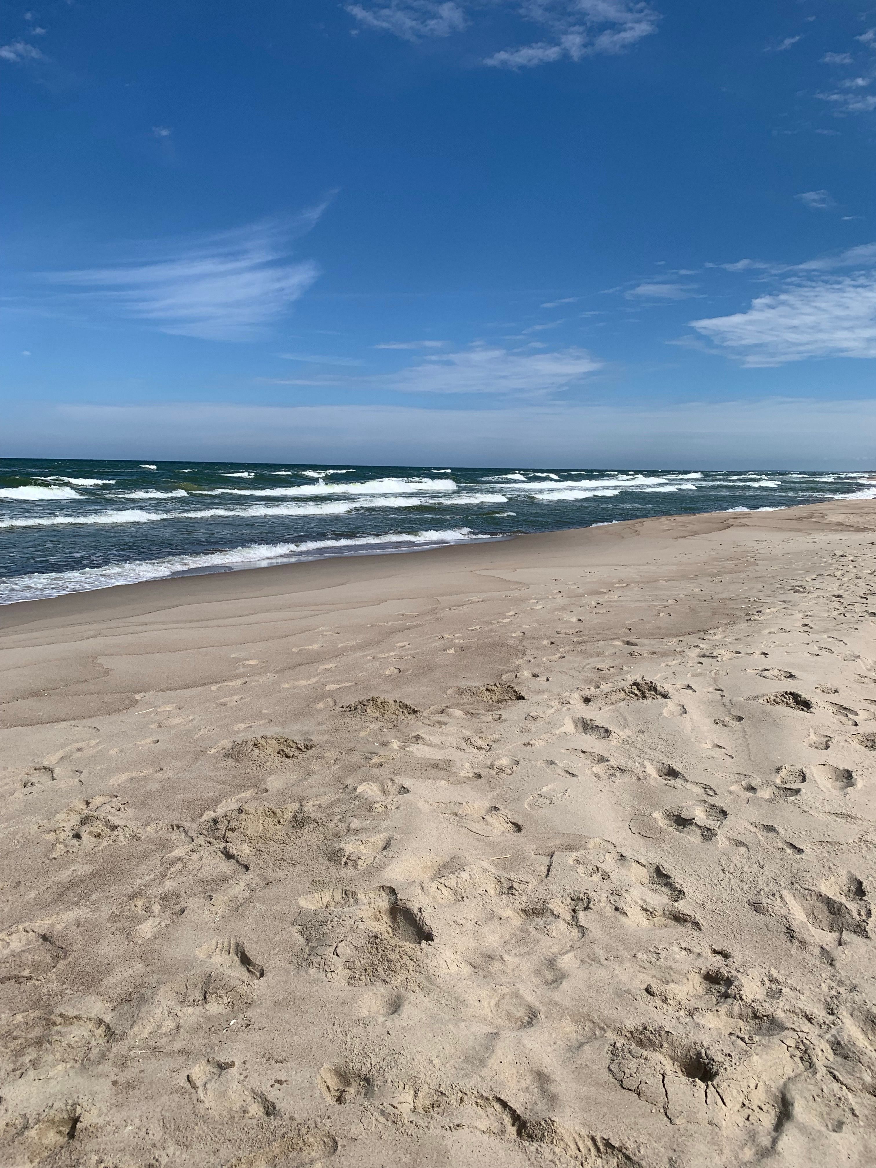 Beach · Free Stock Photo