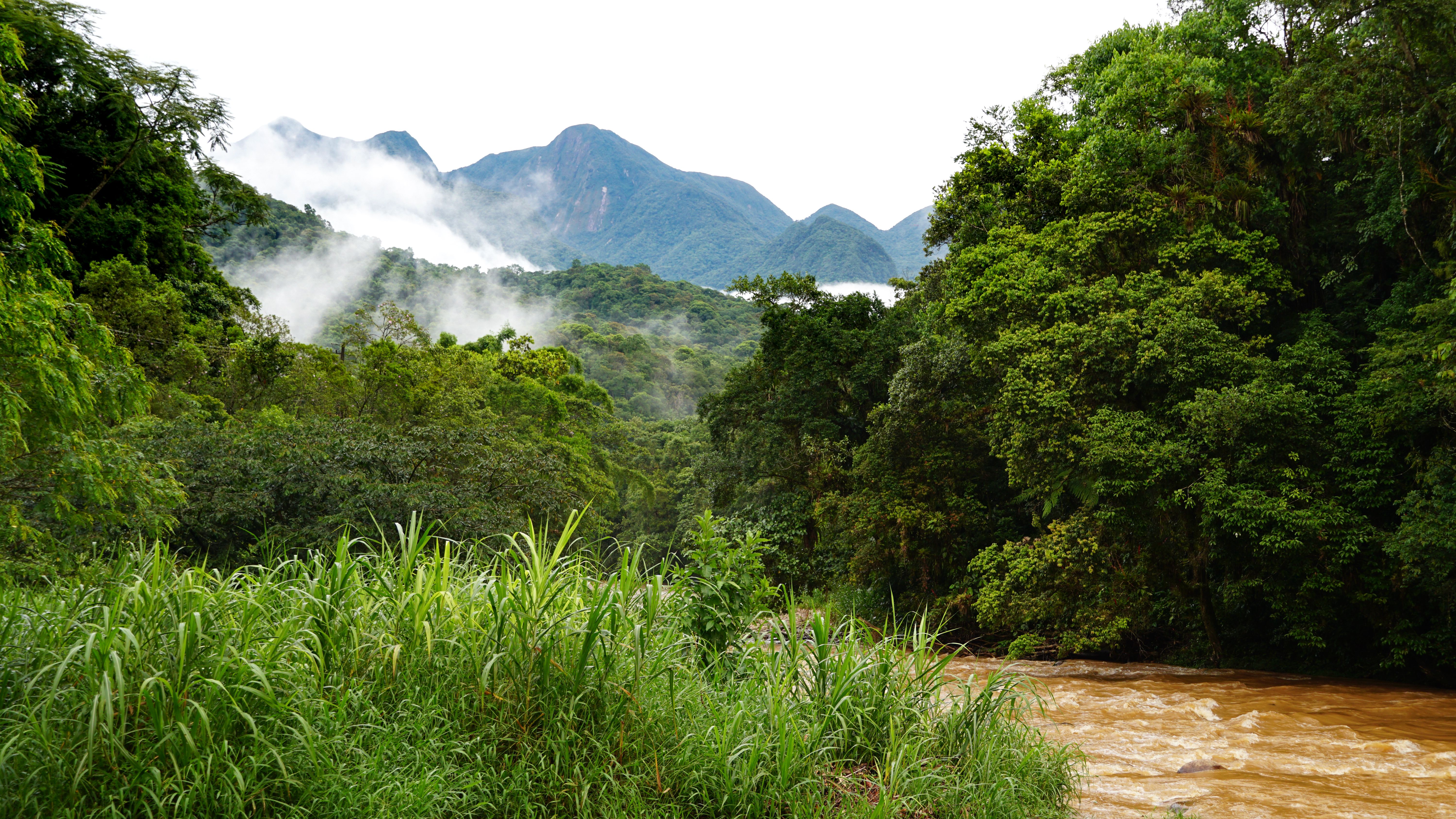 River, mountain and Atlantic forest · Free Stock Photo