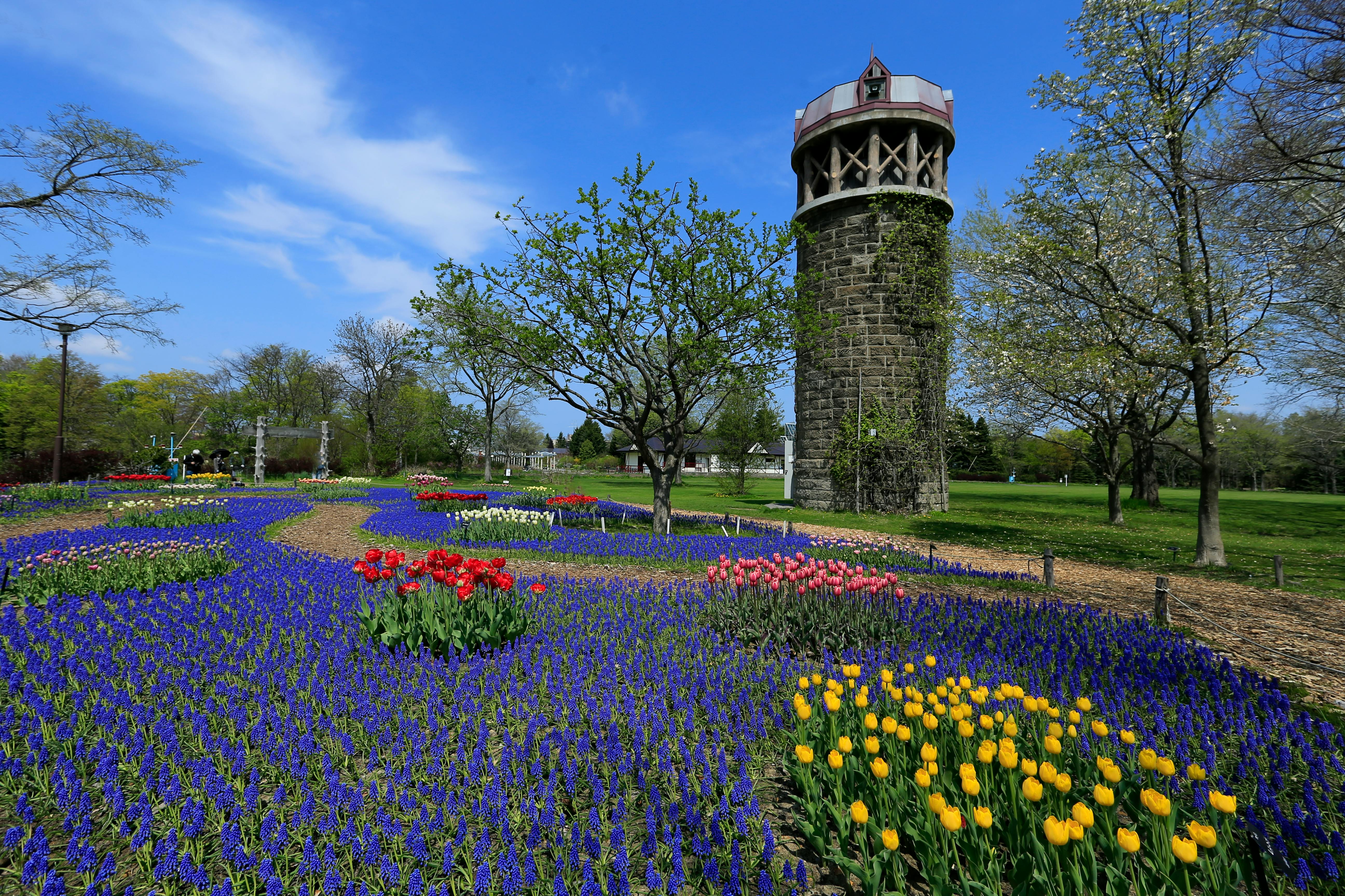 Grădină De Primăvară Vibrantă Cu Turn Istoric De Piatră · Imagine de ...