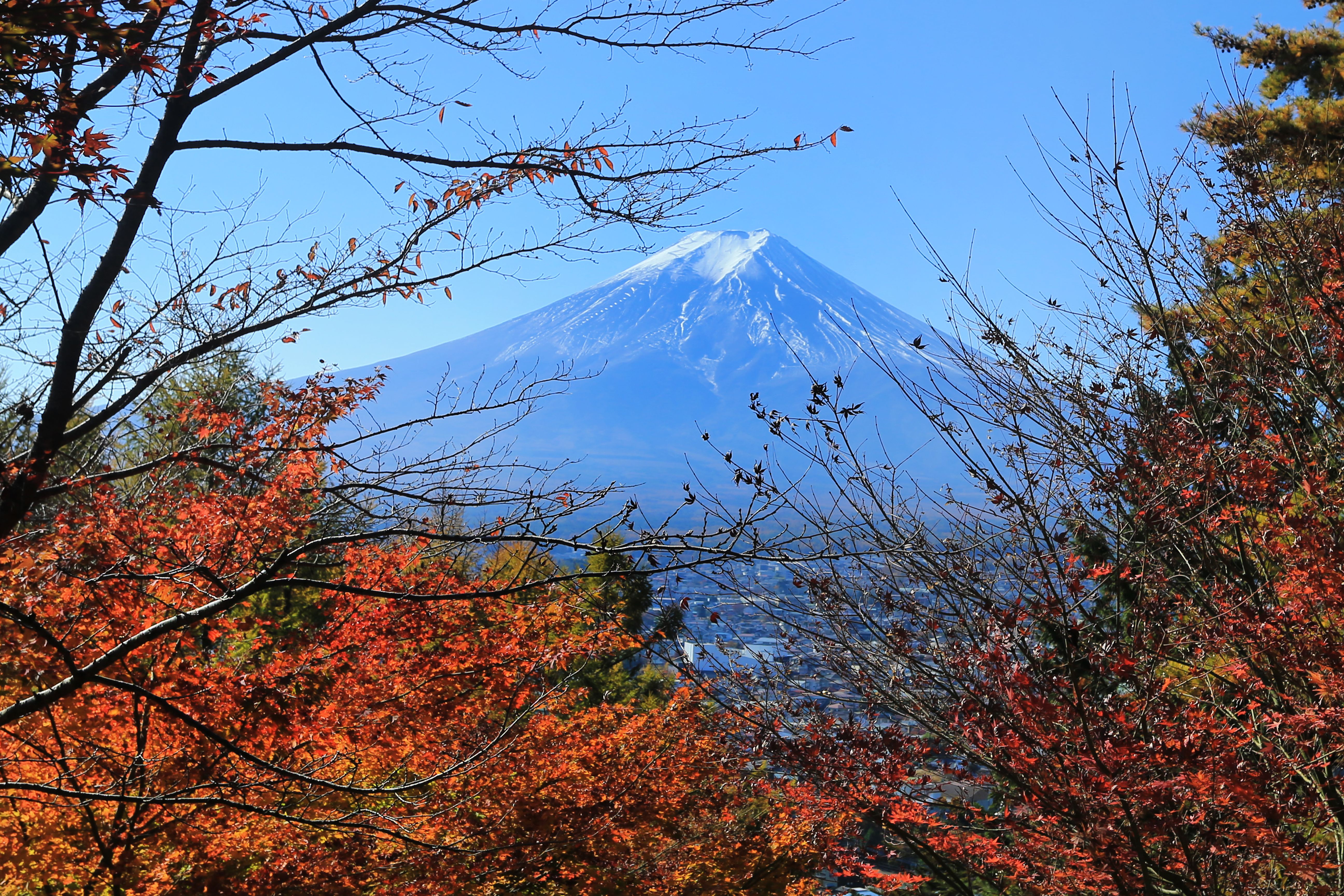 Impresionante Vista Otoñal Del Monte Fuji En Japón · Foto de stock gratuita