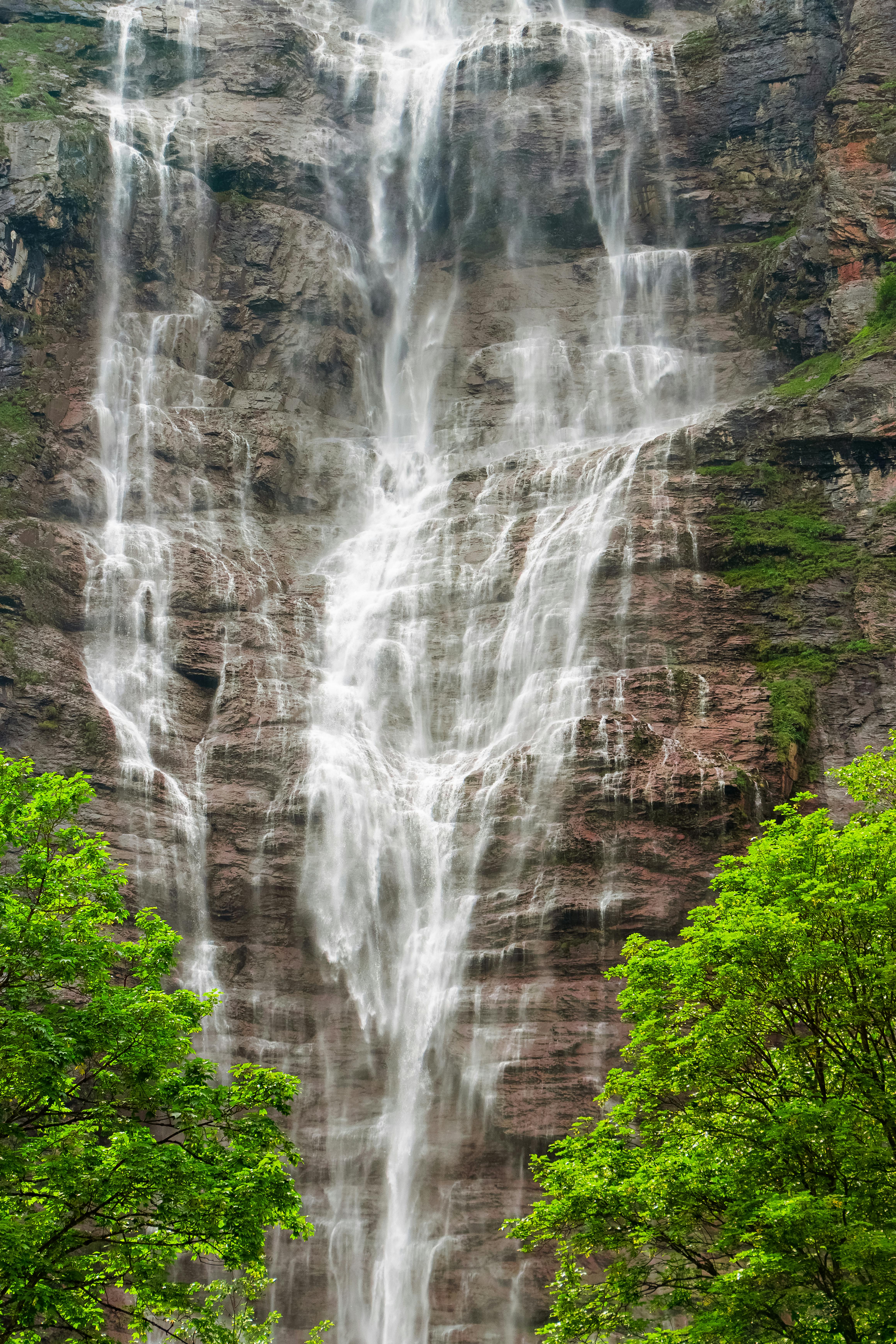 A picture or a waterfall and two trees at the sides · Free Stock Photo