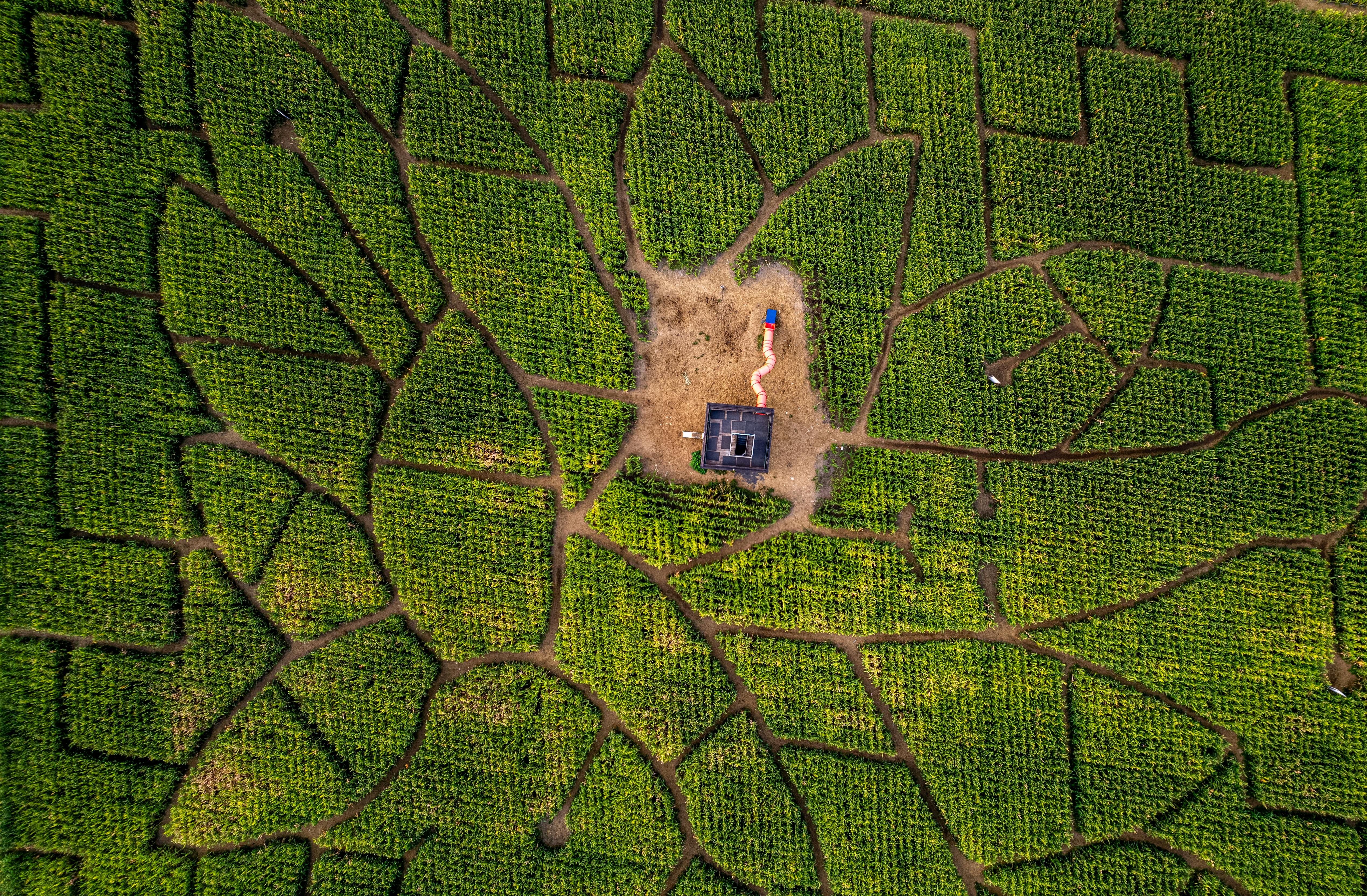 Aerial View of Geometric Corn Maze in Summer · Free Stock Photo