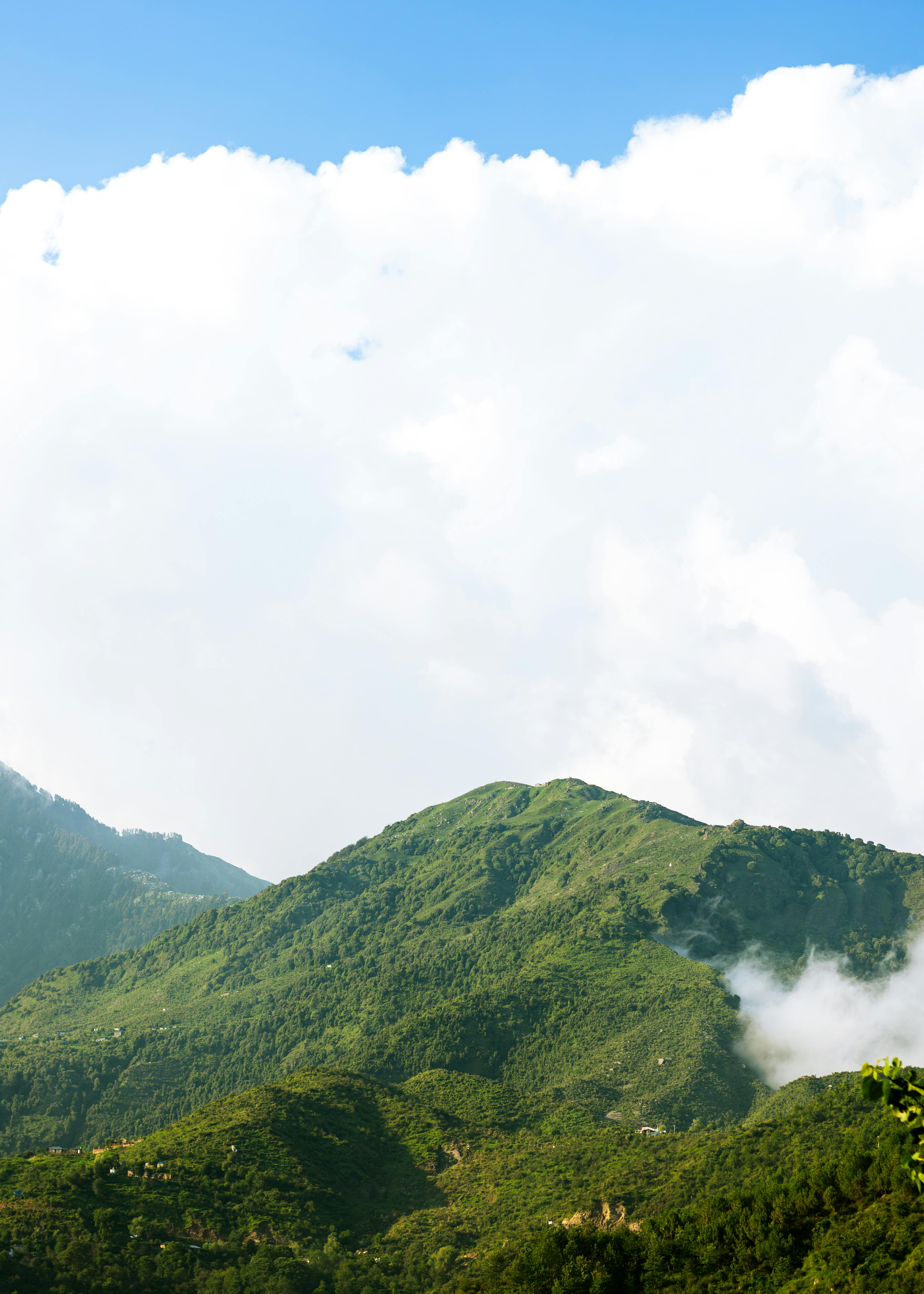 Anurag Jamwal - 摄影