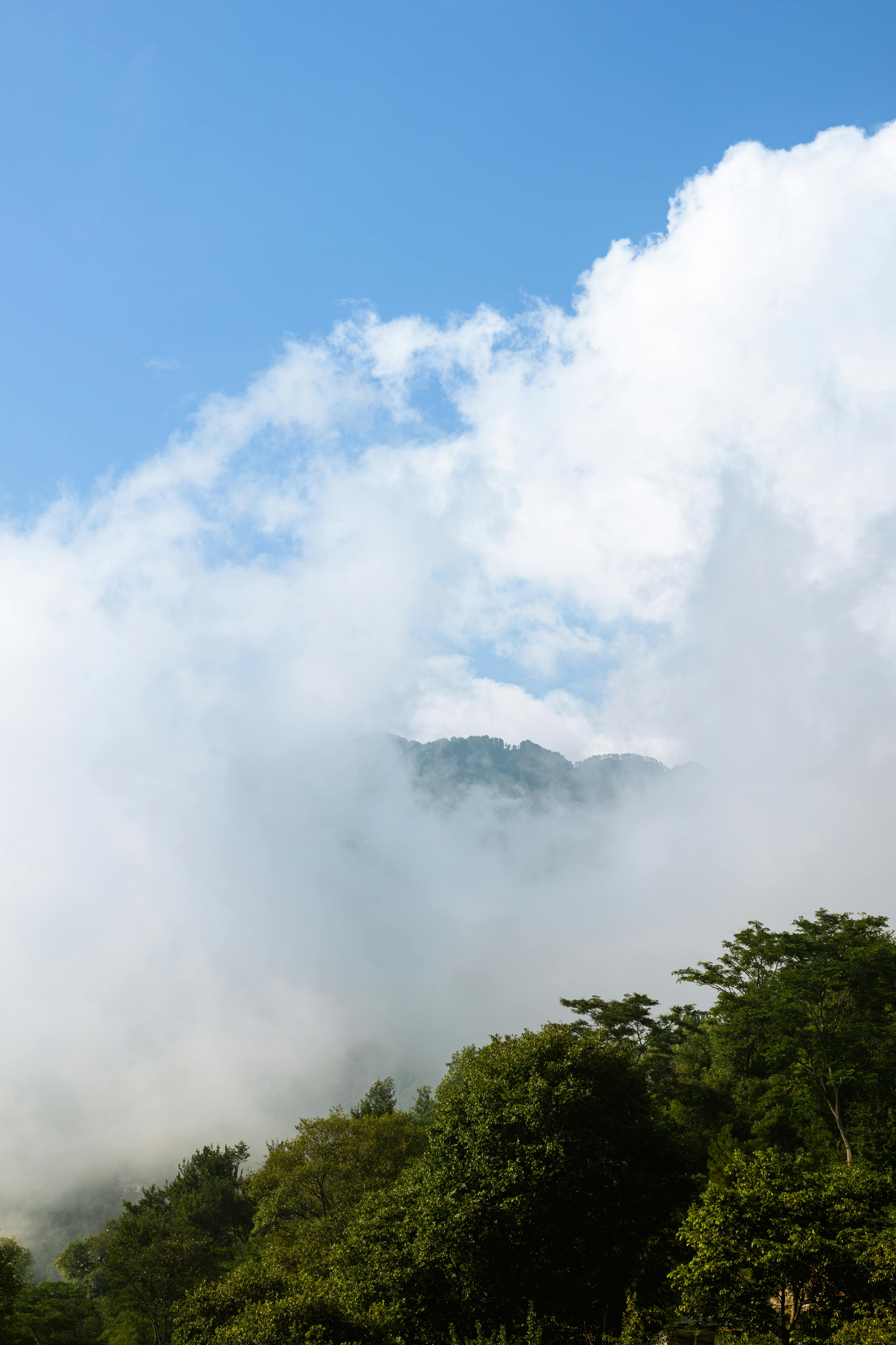 Anurag Jamwal - 摄影