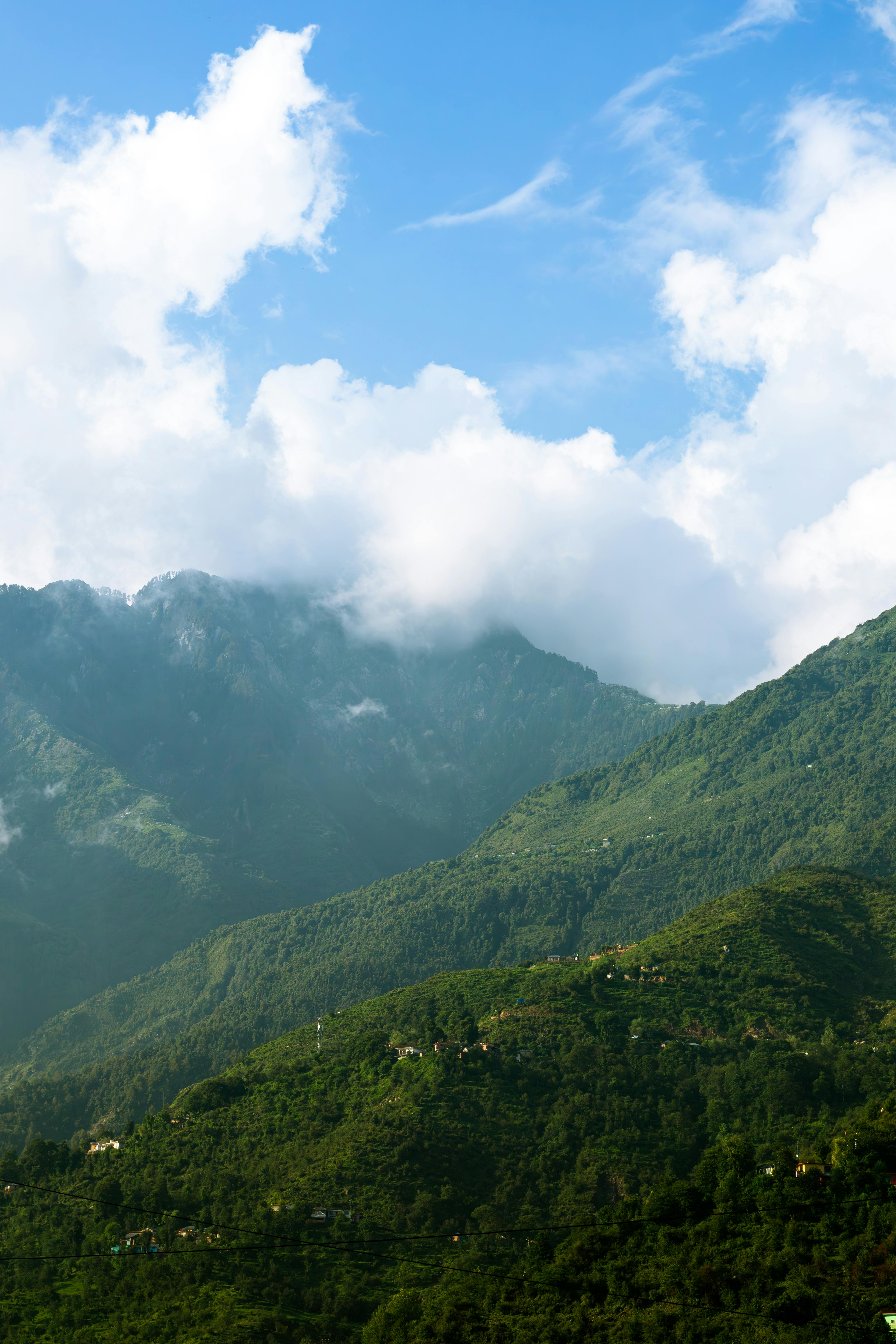 Anurag Jamwal - 摄影