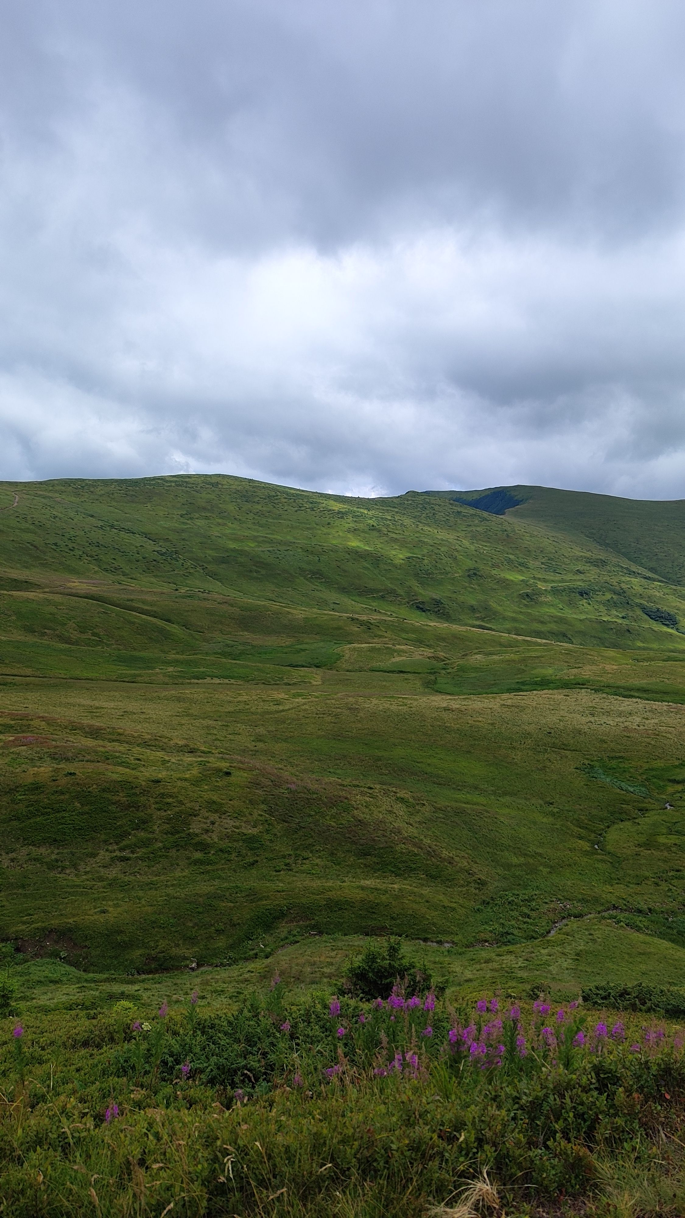 Expansive Green Hills Under Cloudy Sky · Free Stock Photo