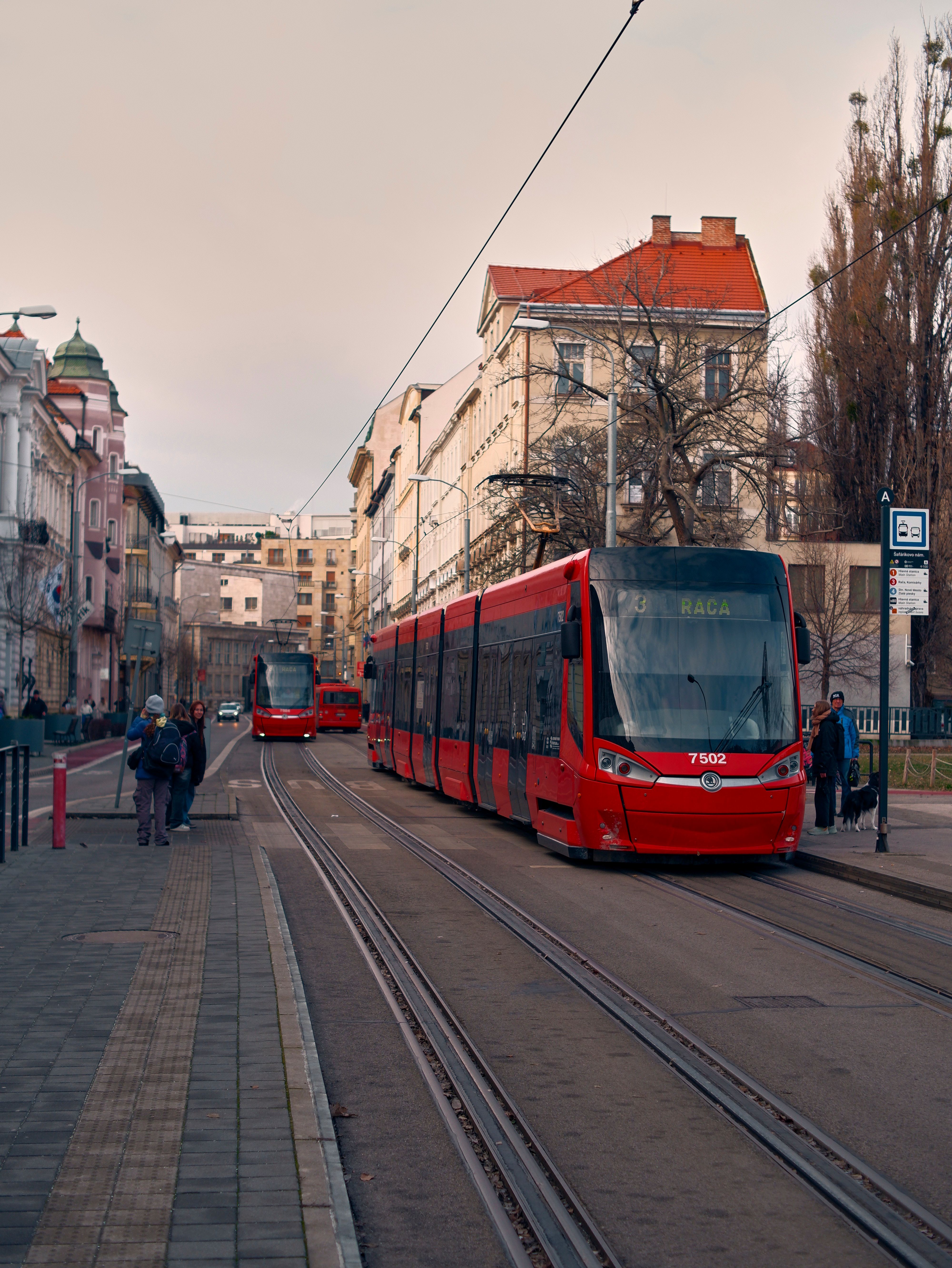 Red Trams on Urban Street in European City · Free Stock Photo