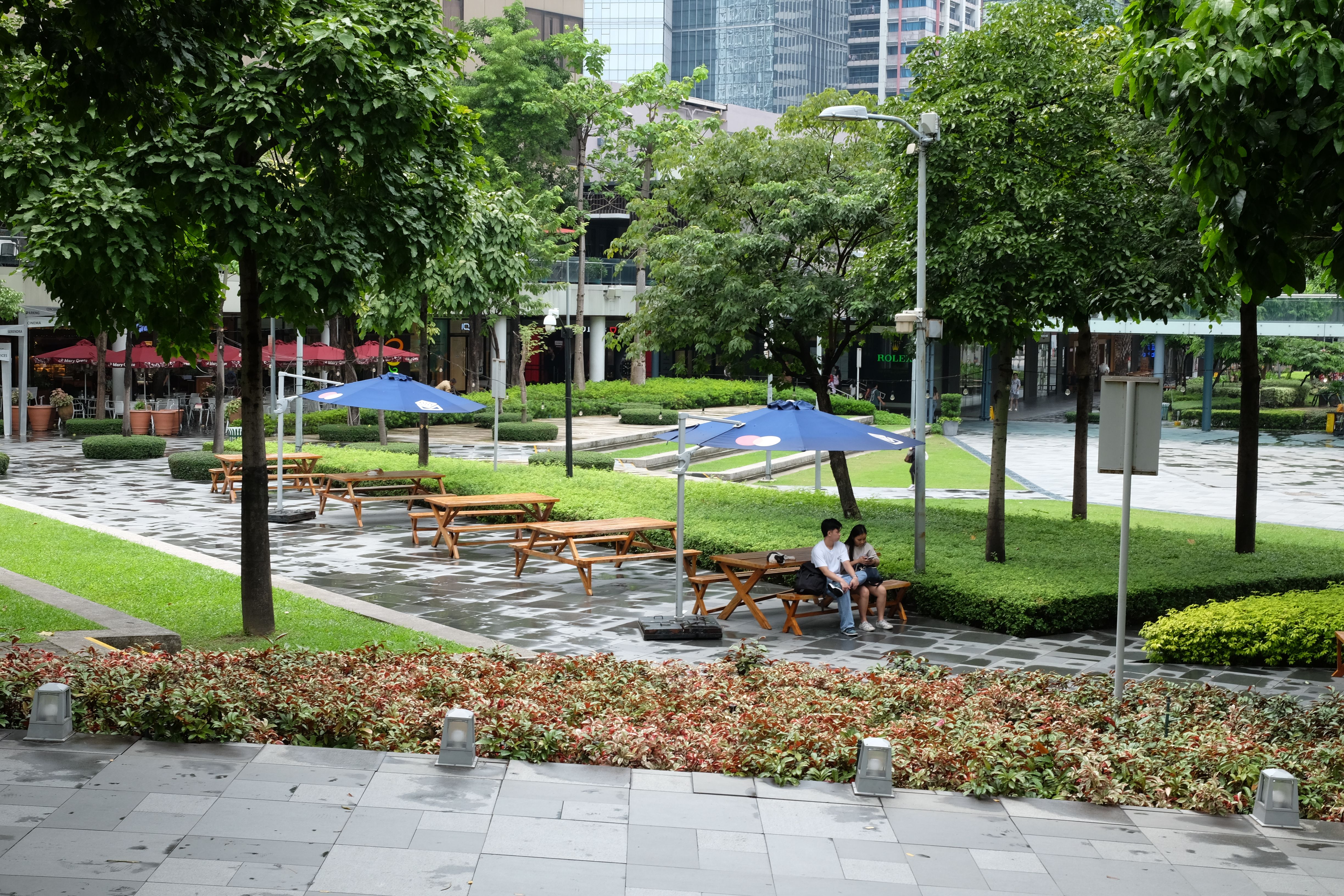 Serene City Park with Picnic Benches and Greenery · Free Stock Photo