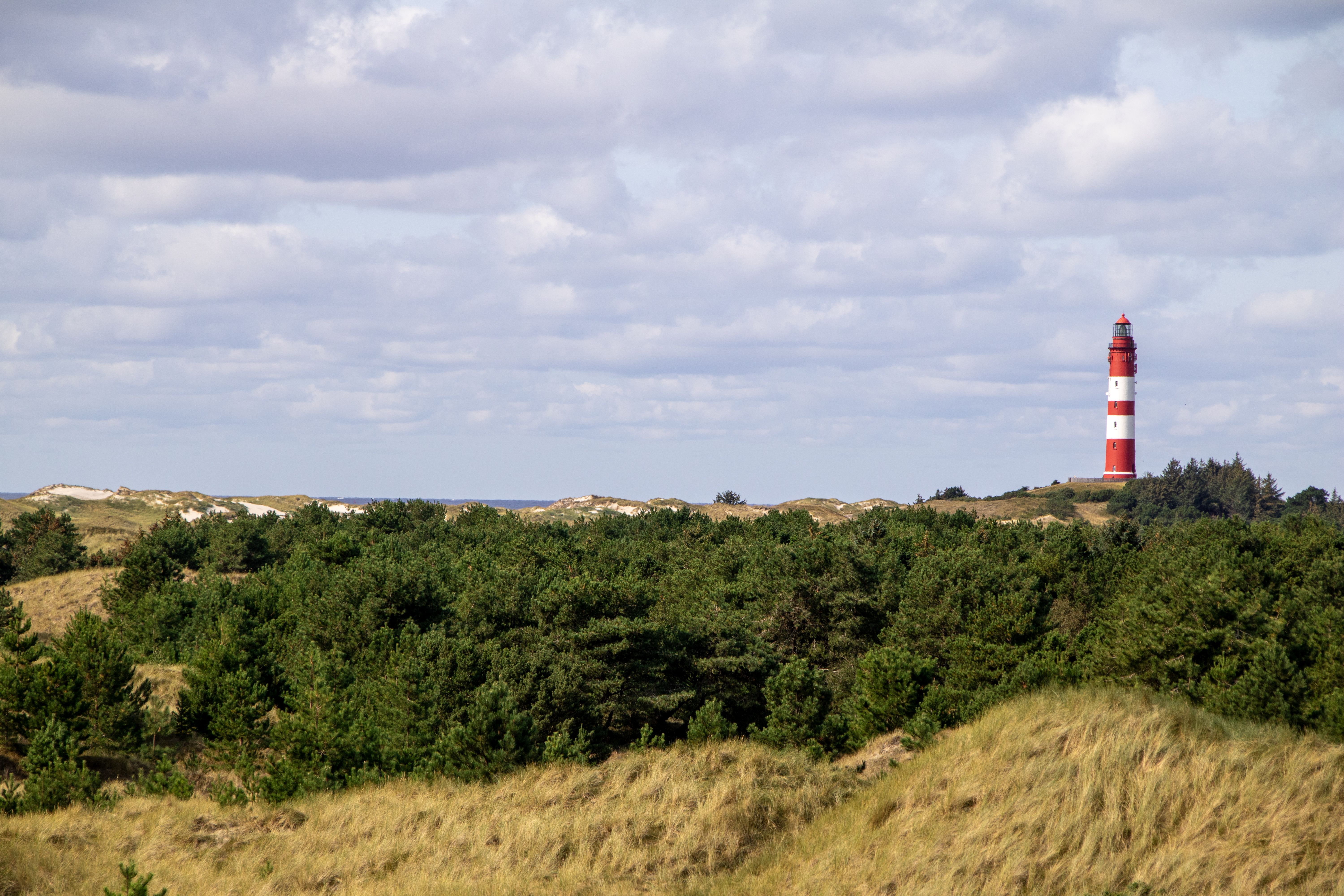 Amrum Lighthouse in Scenic Coastal Dunes · Free Stock Photo
