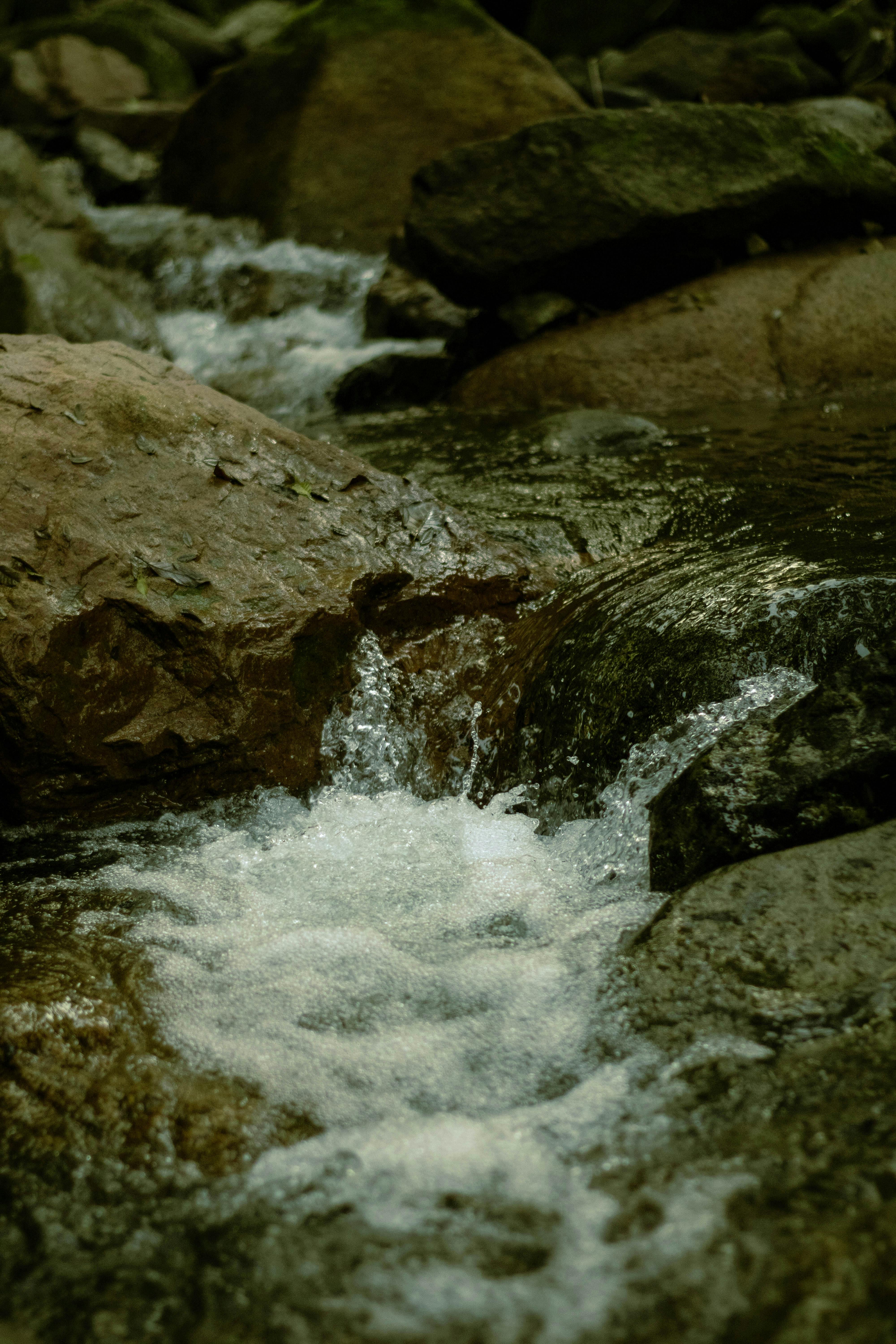 Tranquil Stream Flowing Over Rocks in Nature · Free Stock Photo
