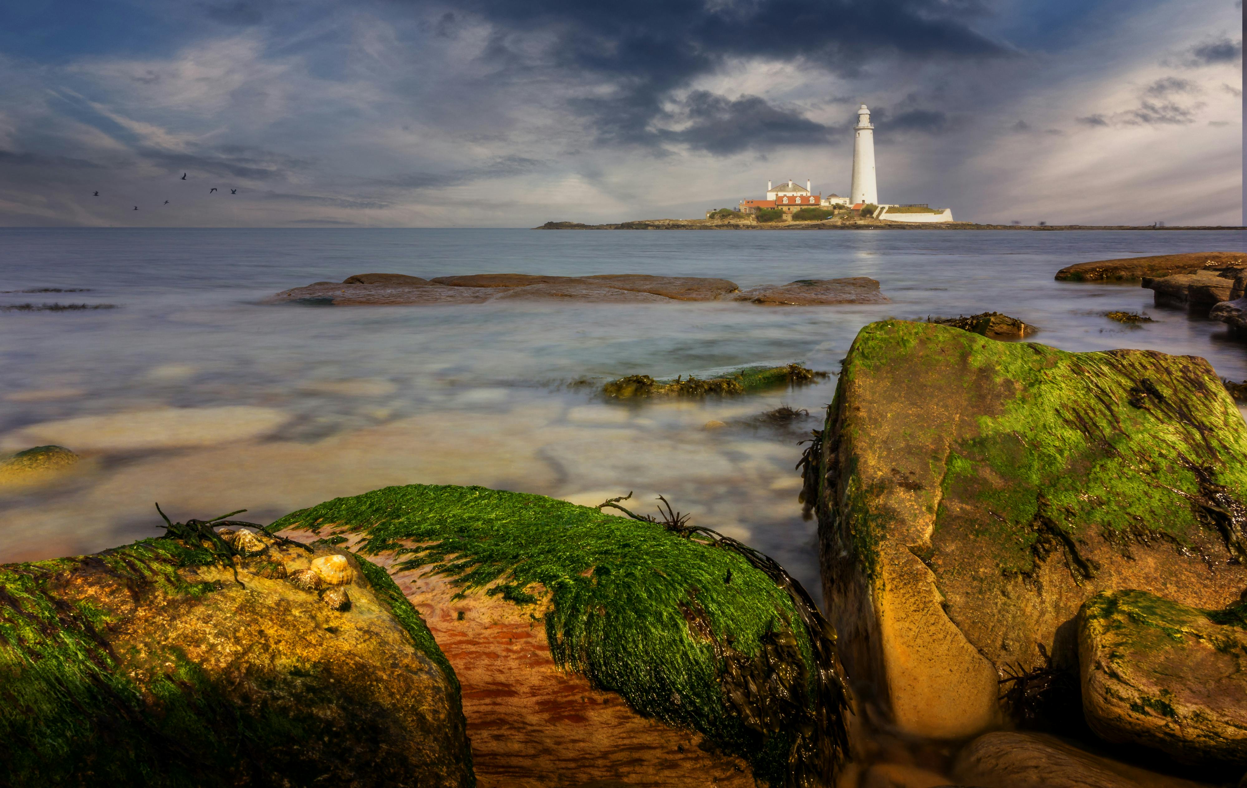 Dramatic Lighthouse and Rocky Shoreline at Dusk · Free Stock Photo