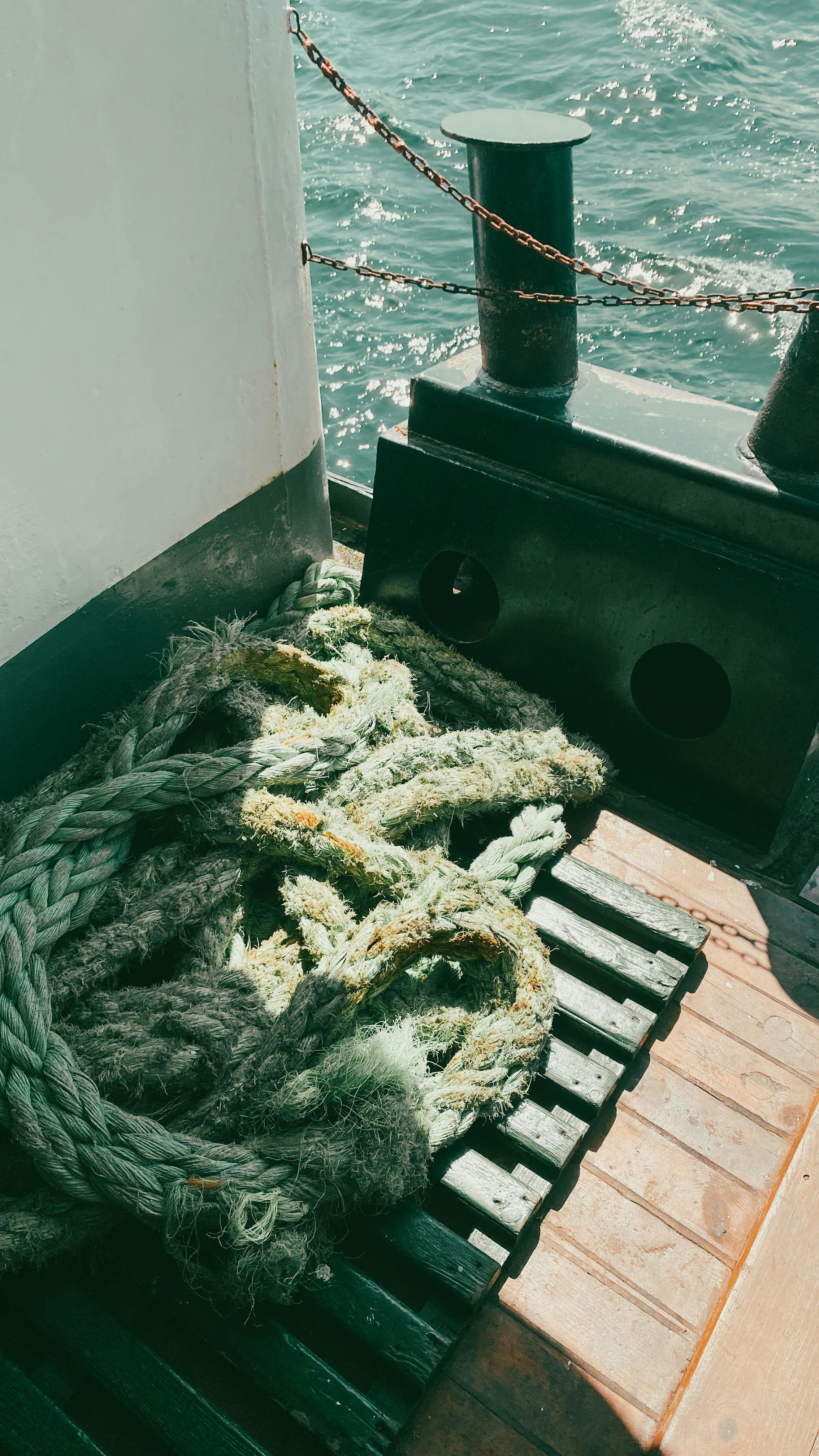 Davut ERDEM - Fotoğrafçılık