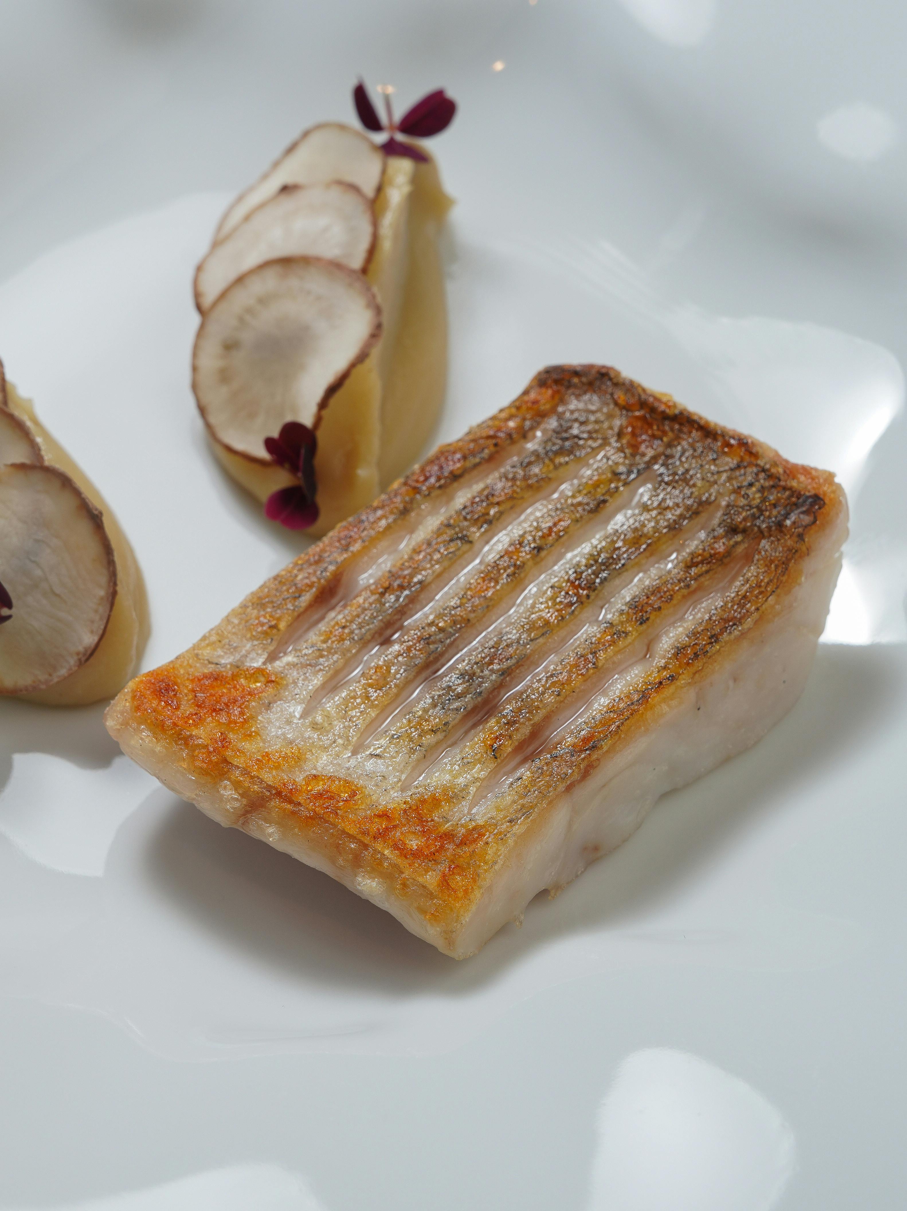 Gourmet Grilled Fish Fillet with Root Vegetables · Free Stock Photo