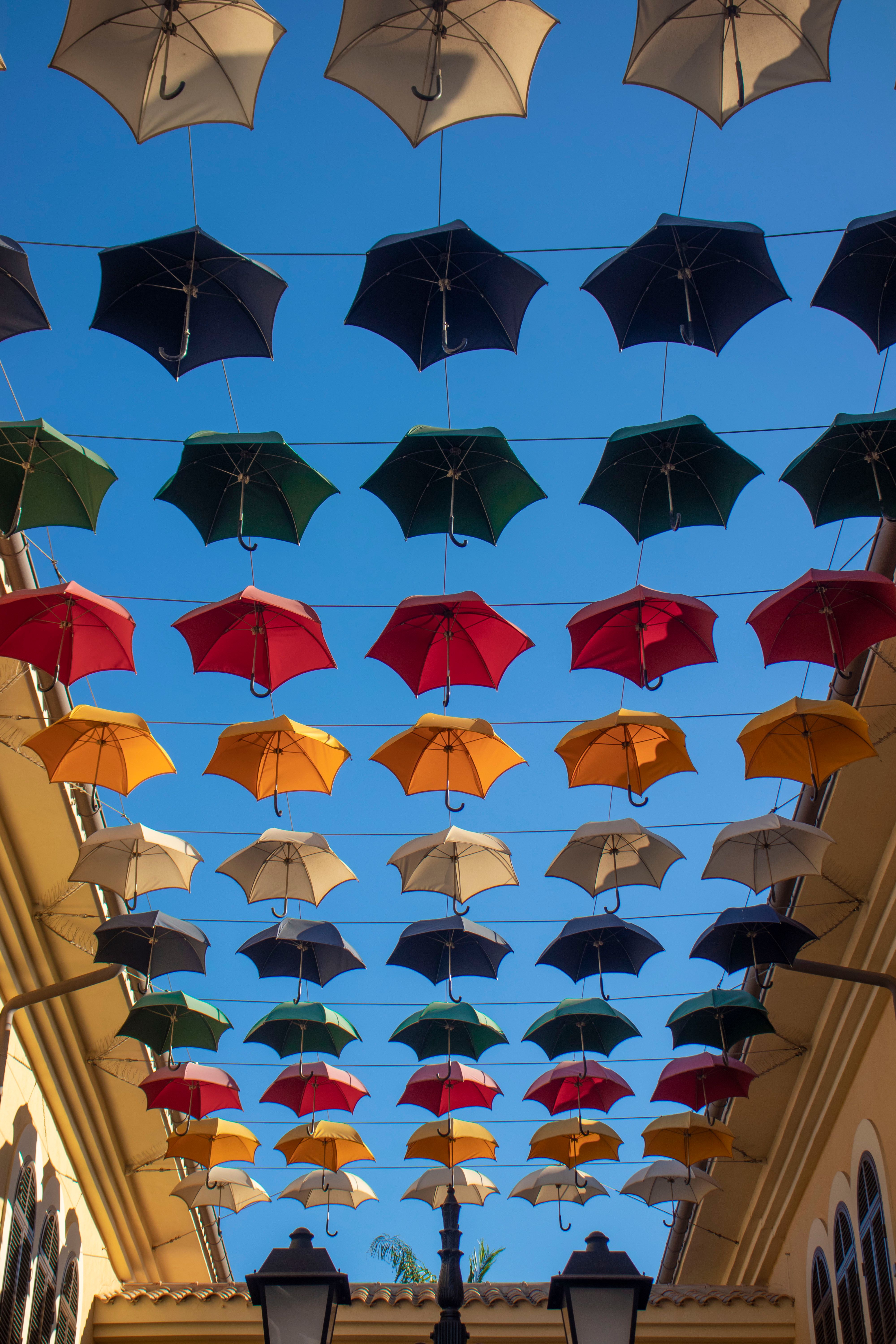Colorful Umbrellas Hanging Over Street · Free Stock Photo
