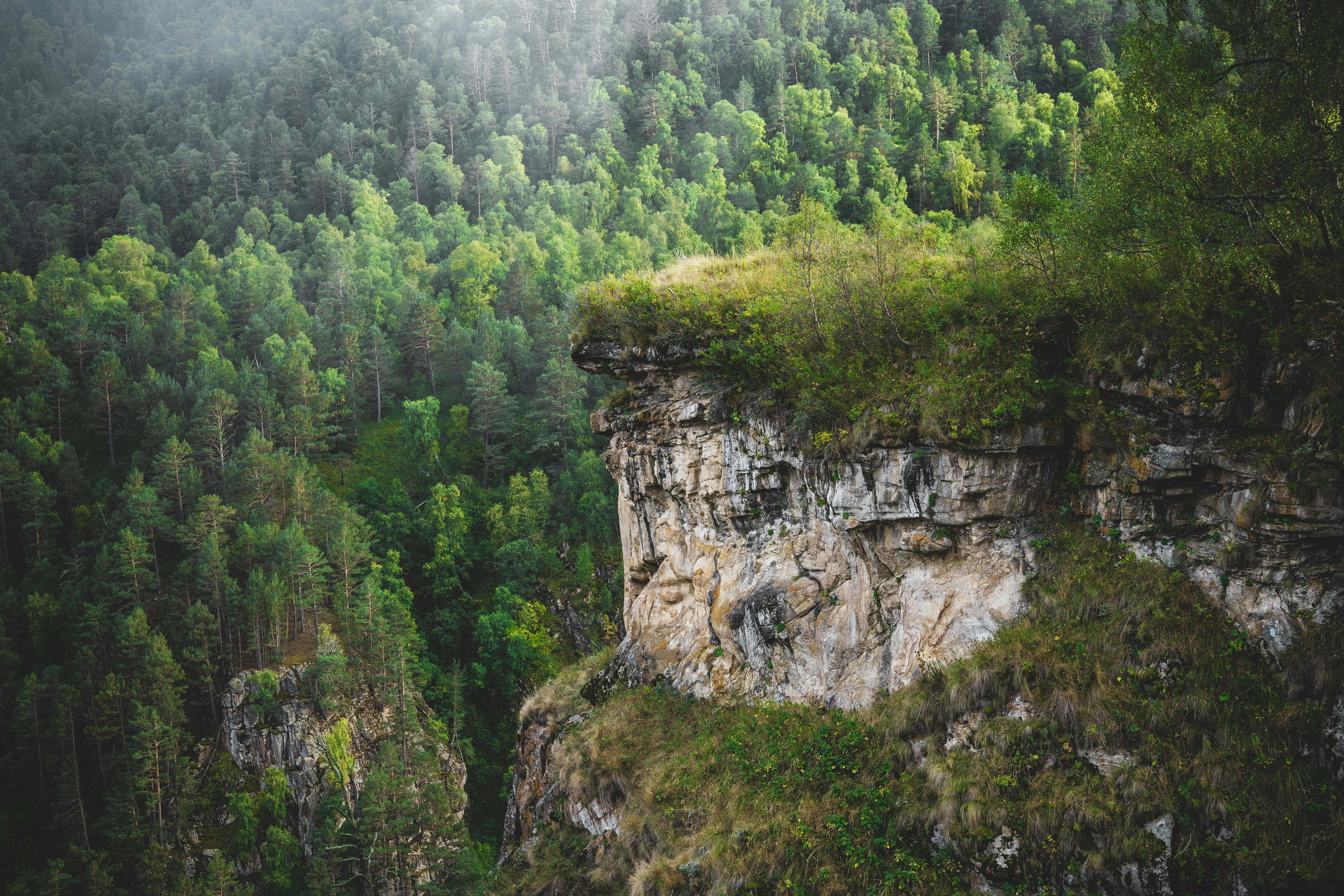 Dramatic Forest Cliff Overlooking Dense Greenery · Free Stock Photo