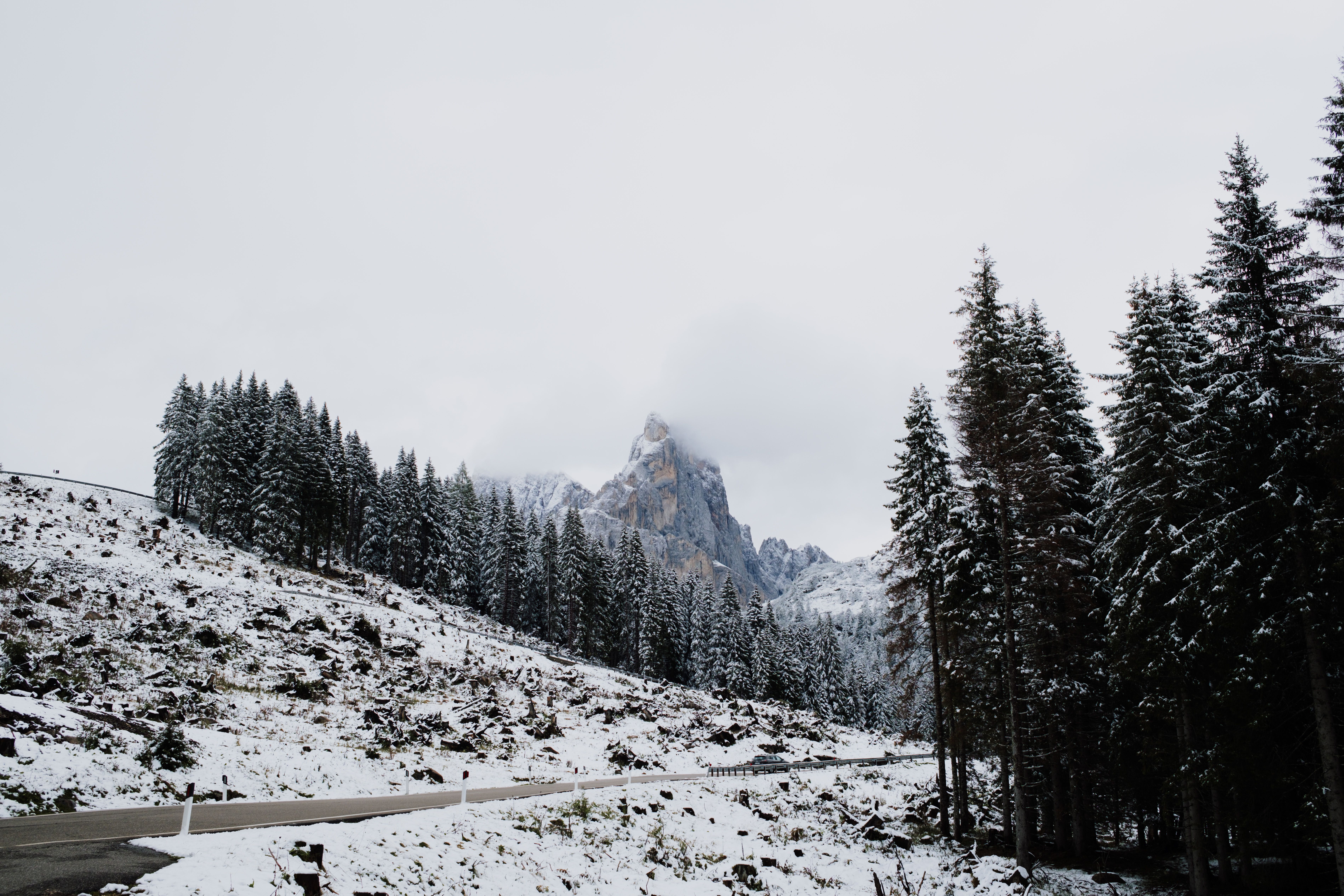 Snow-Covered Alpine Landscape with Pines · Free Stock Photo