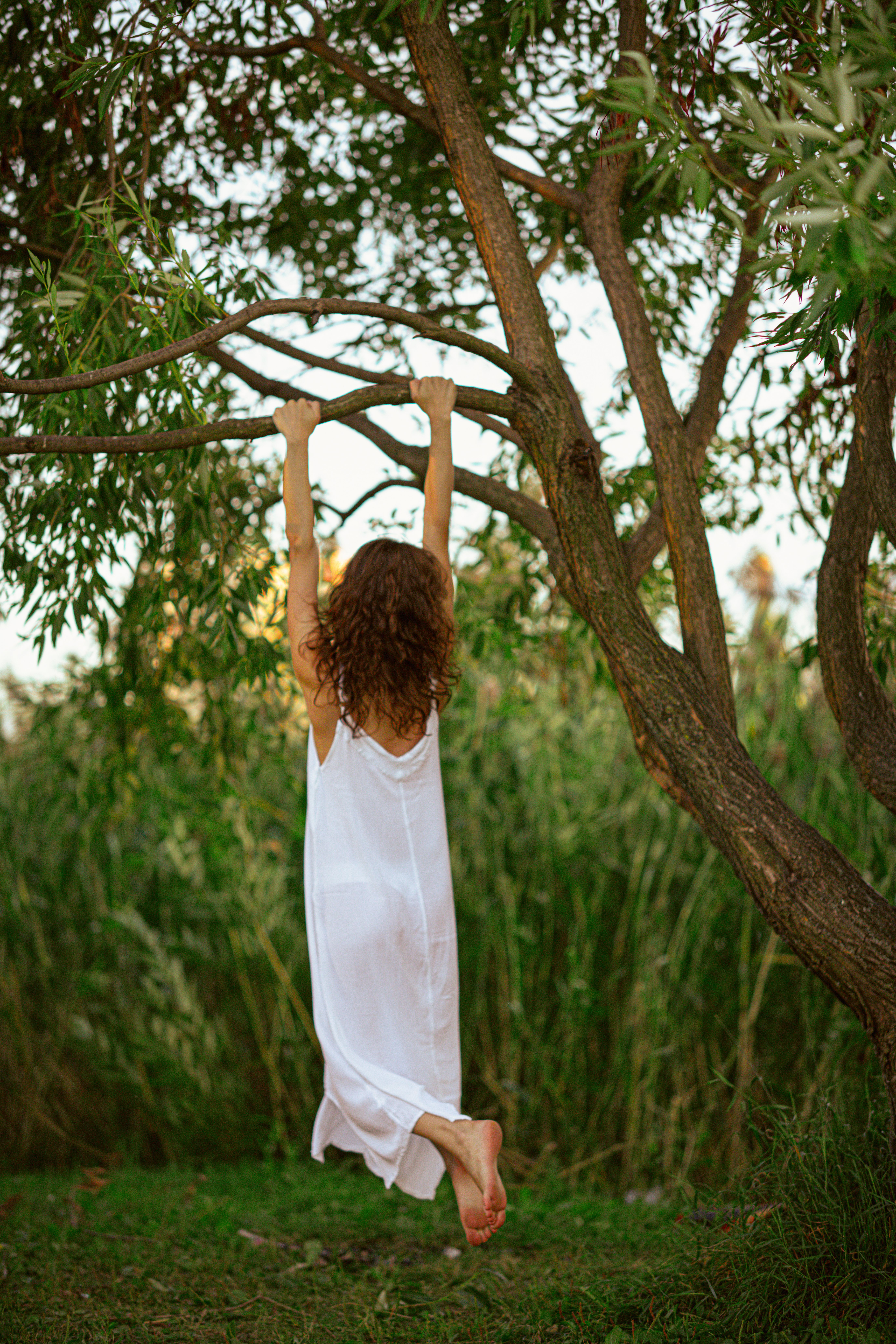 Photo Of Woman Hanging On The Tree Upside Down · Free Stock Photo