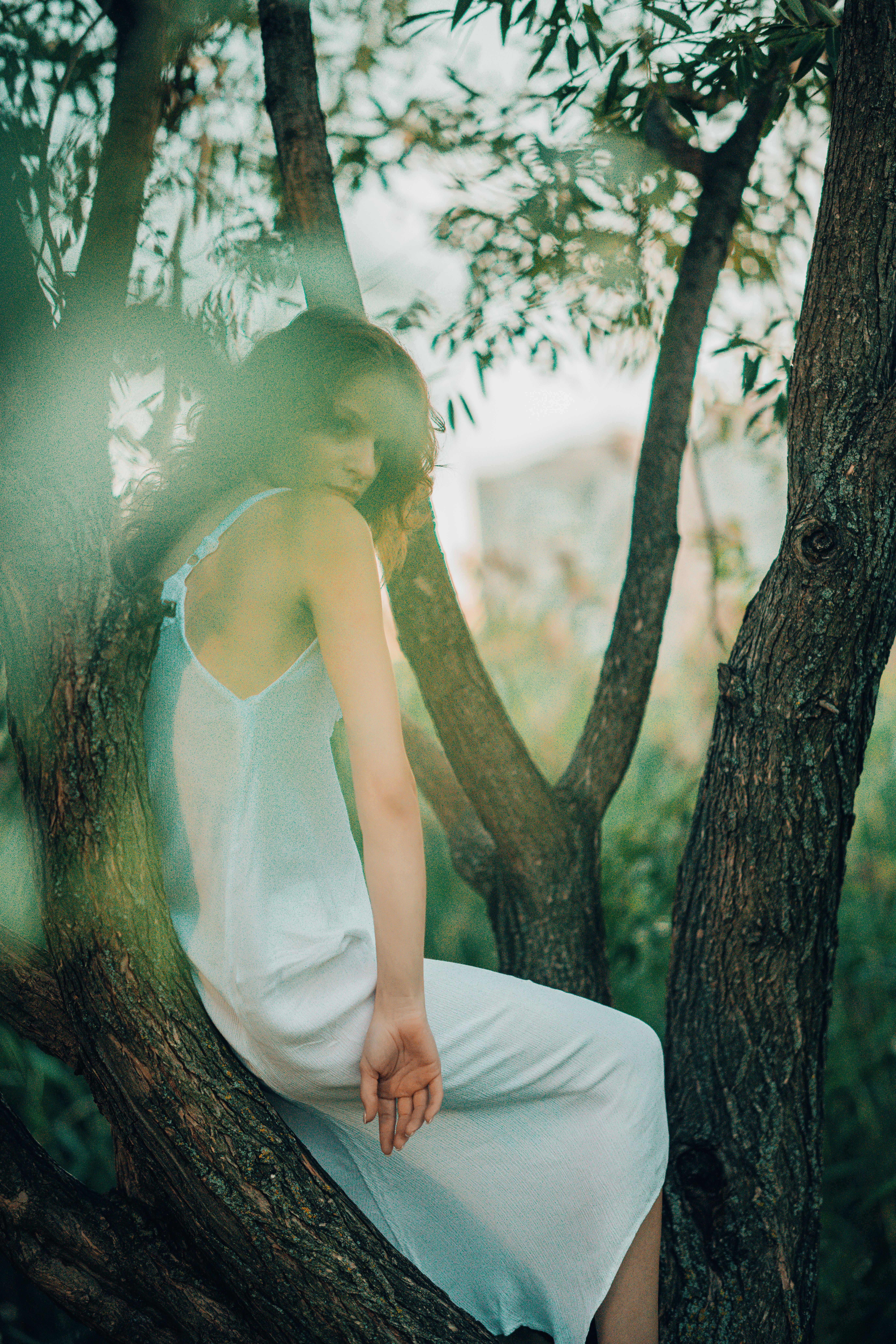 Woman in White Dress Seated in Tree Outdoors · Free Stock Photo