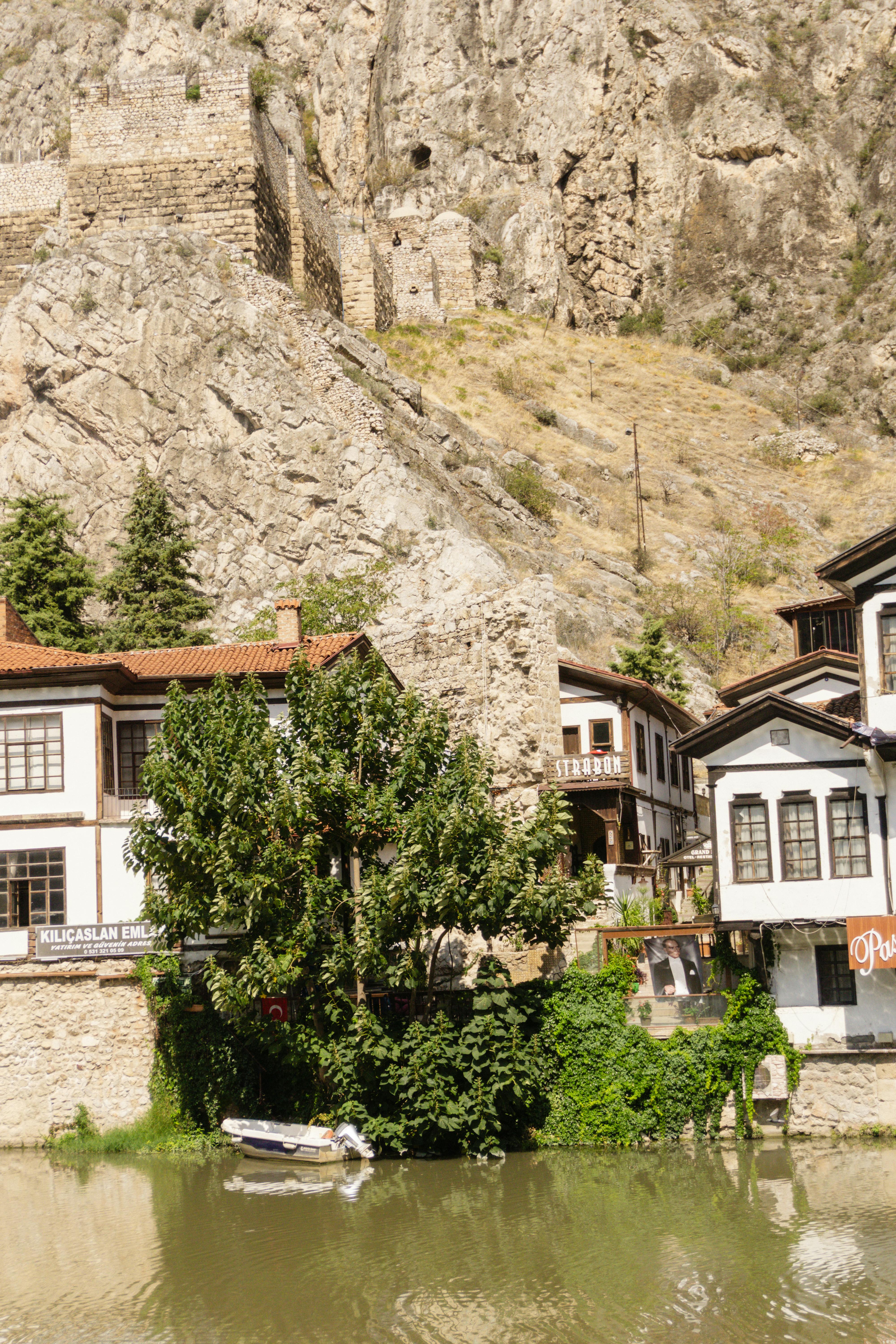 Merve Photos, Download The BEST Free Merve Stock Photos & HD Images