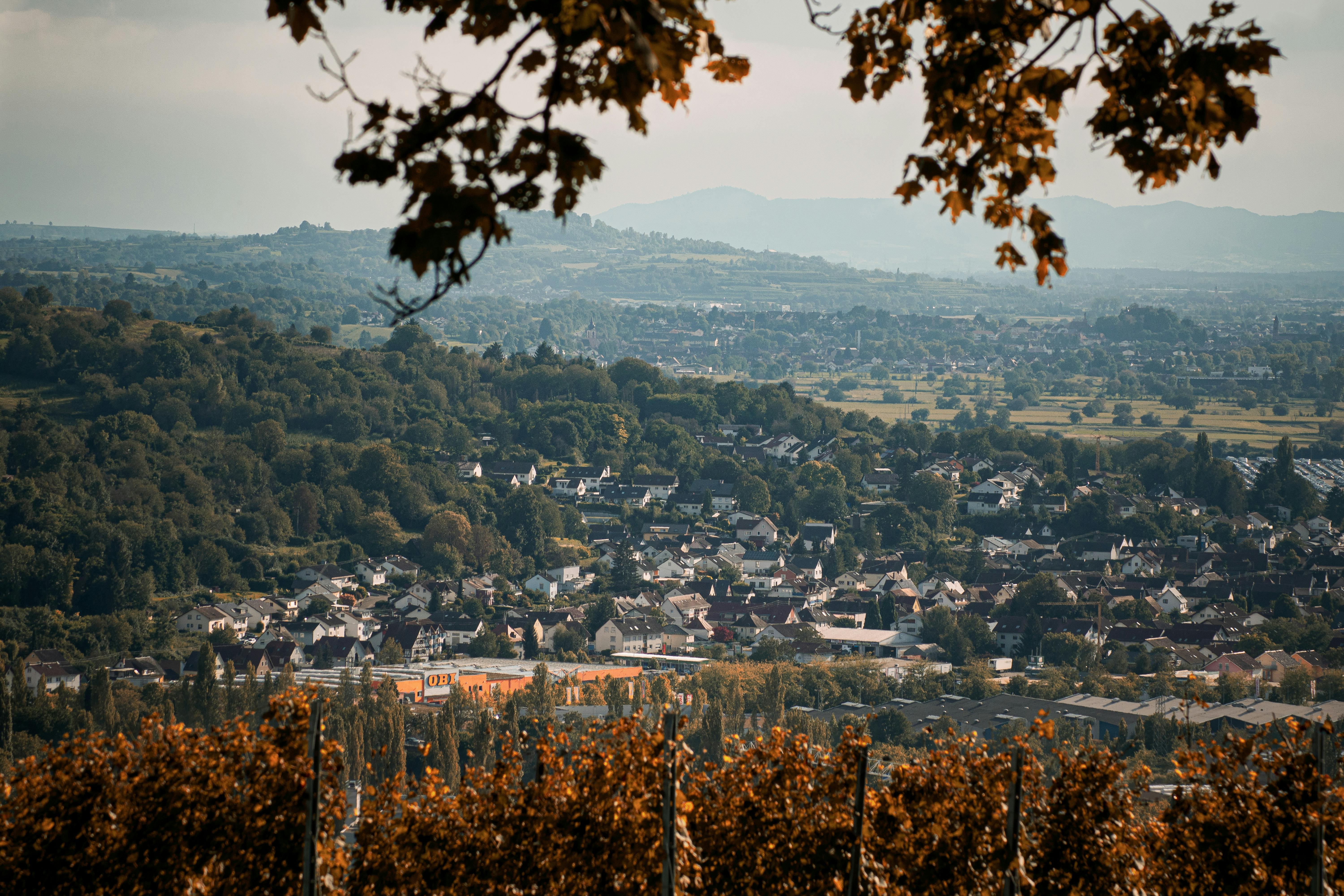 City Buildings Surrounded Maroon Leaved Forest during Daytime · Free ...
