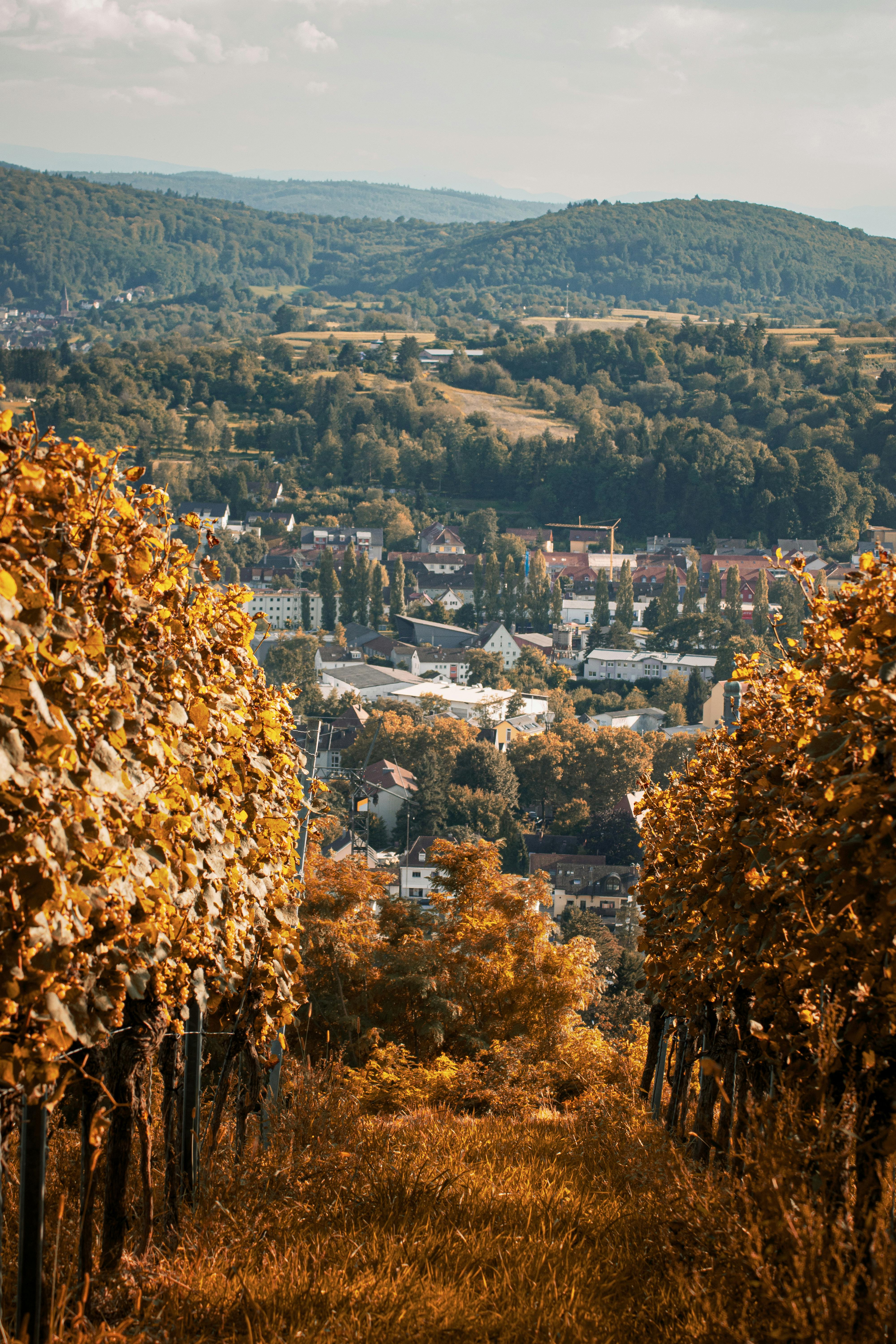 Range Rover Edited Photos, Download The BEST Free Range Rover Edited ...