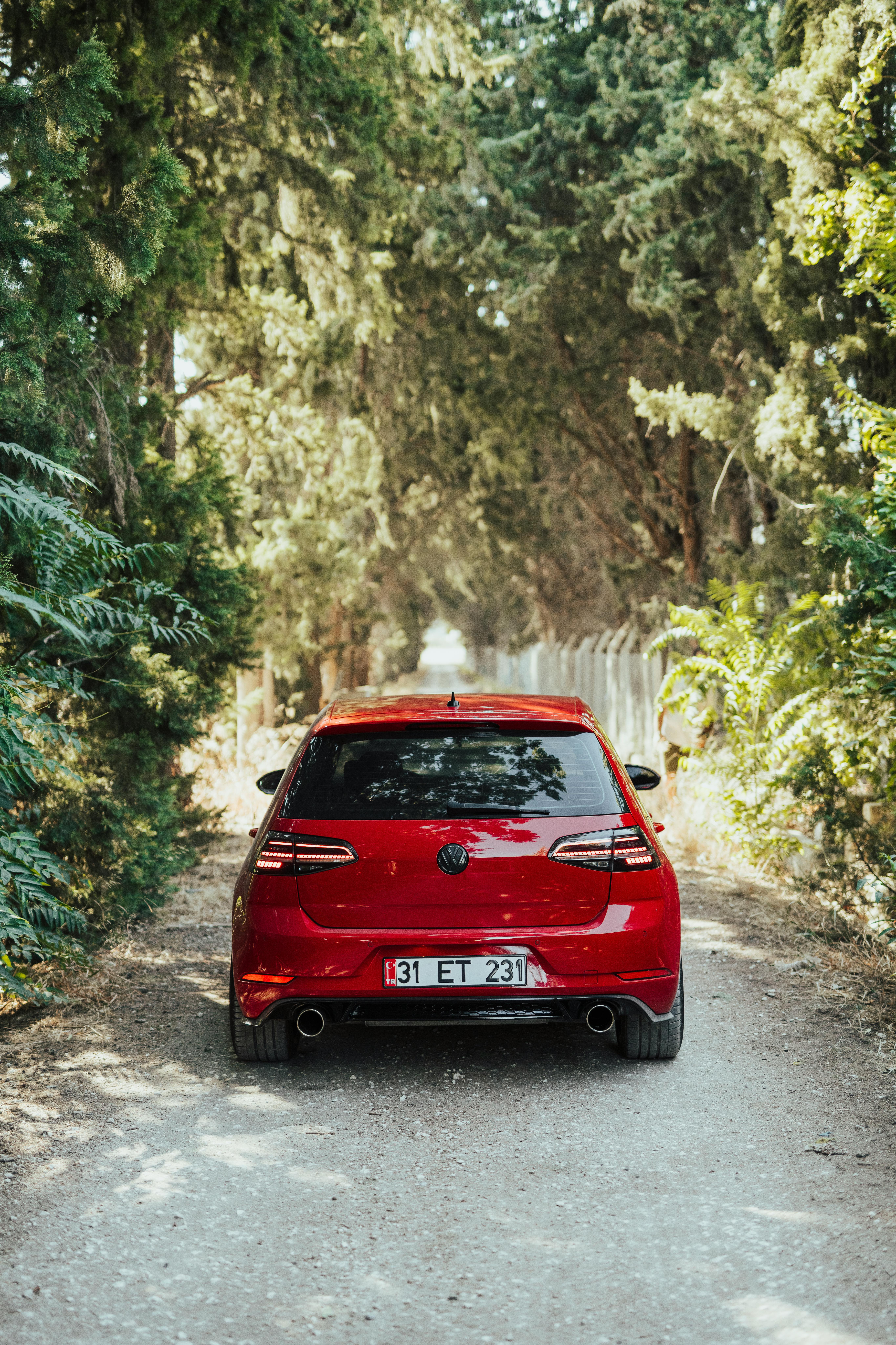 Red Volkswagen Golf GTI on Tree-Lined Road · Free Stock Photo