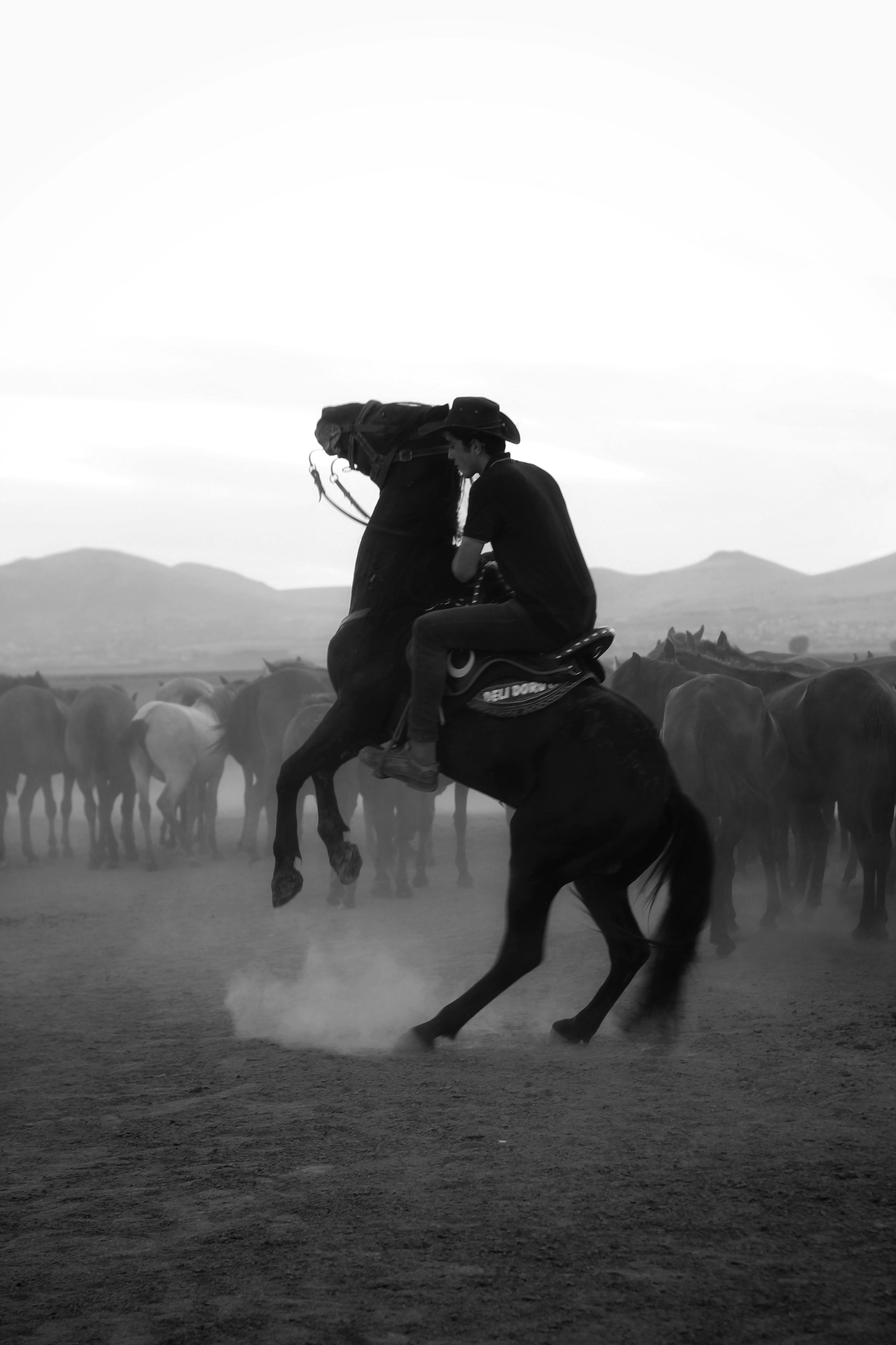 Rancher Riding Horse in Kayseri, Turkey · Free Stock Photo