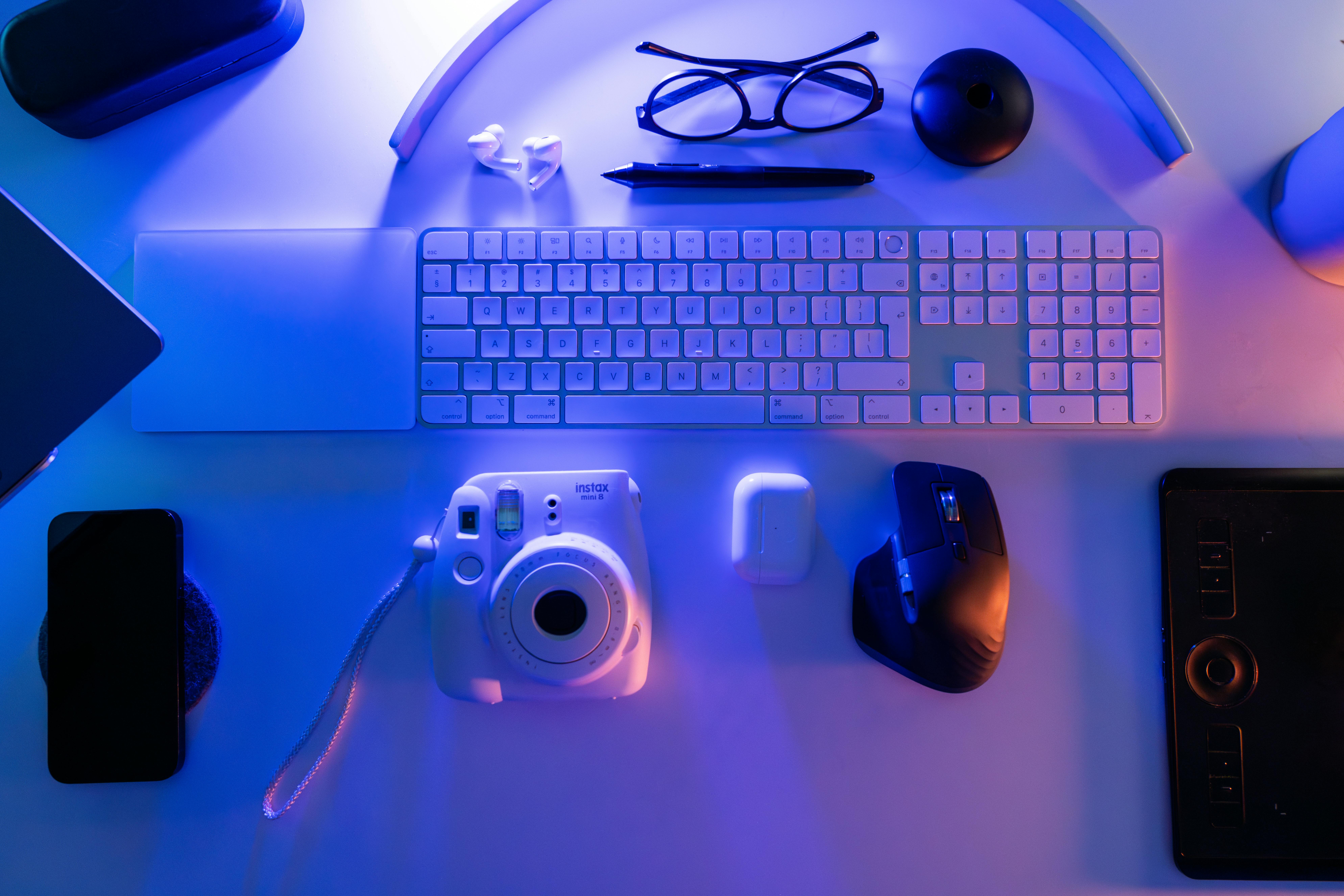 Mouse From Above Photos, Download The BEST Free Mouse From Above Stock ...