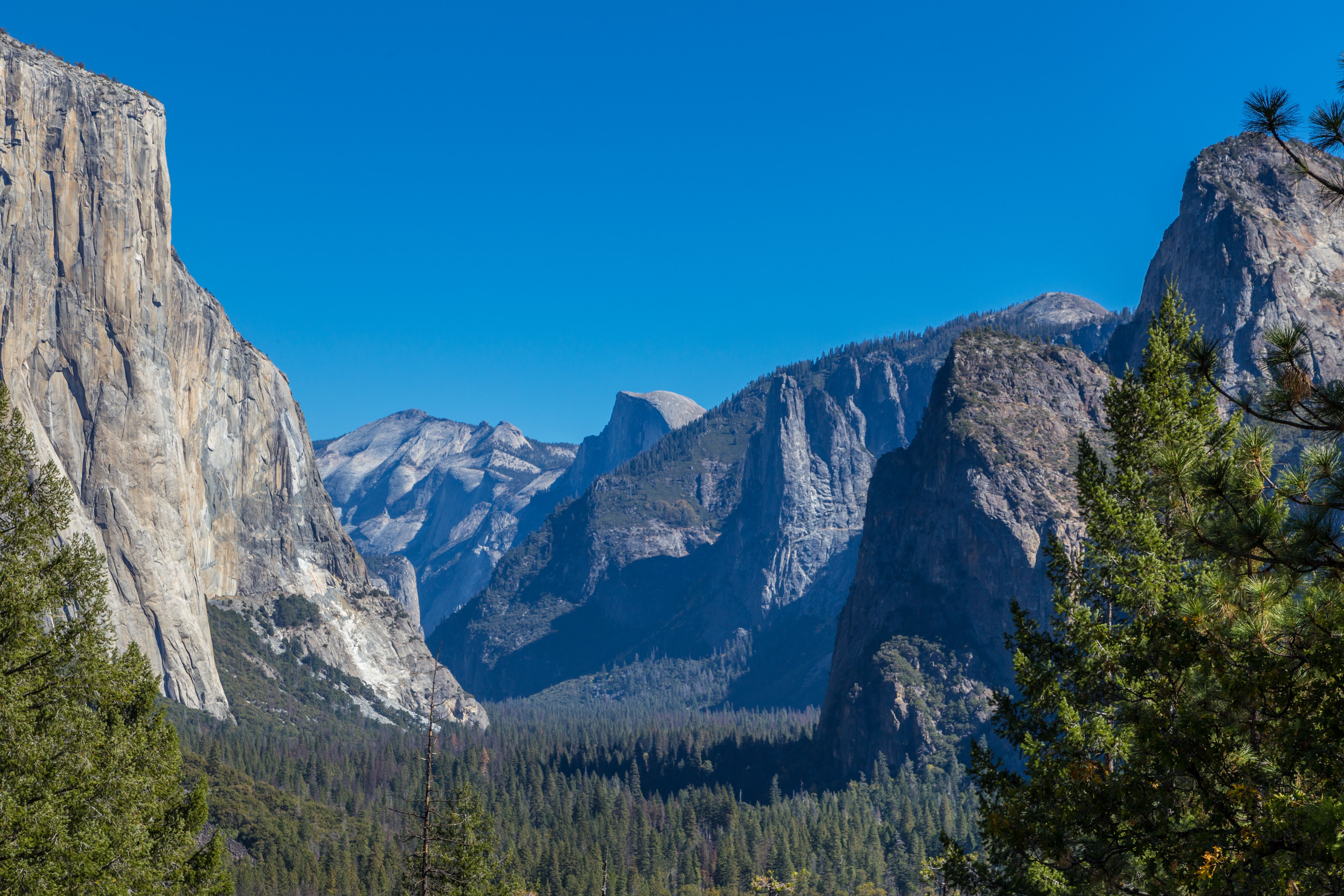 Scenic View of Yosemite Valley's Iconic Cliffs · Free Stock Photo
