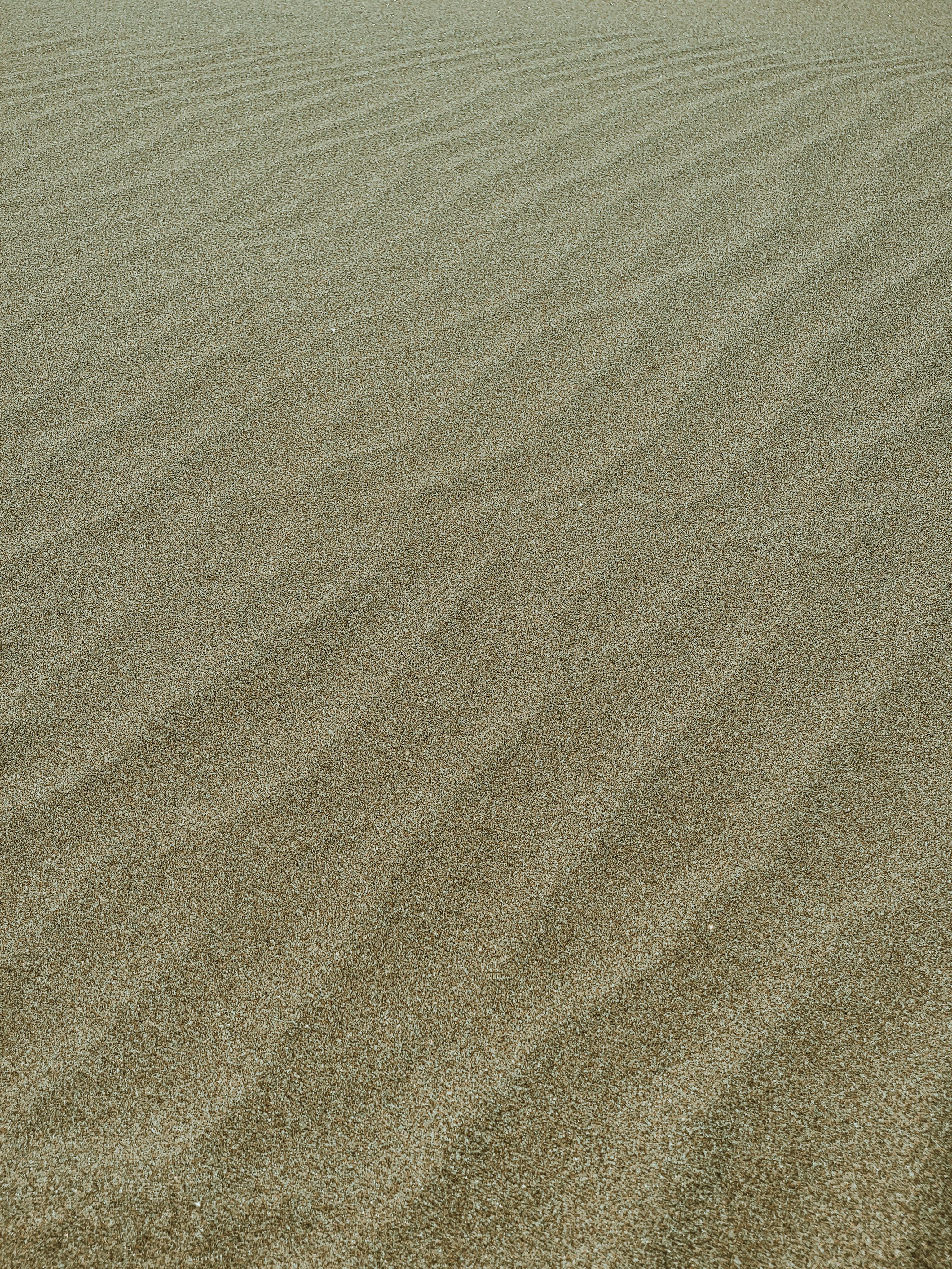 Texture of Rippling Sand on a Desert Surface · Free Stock Photo