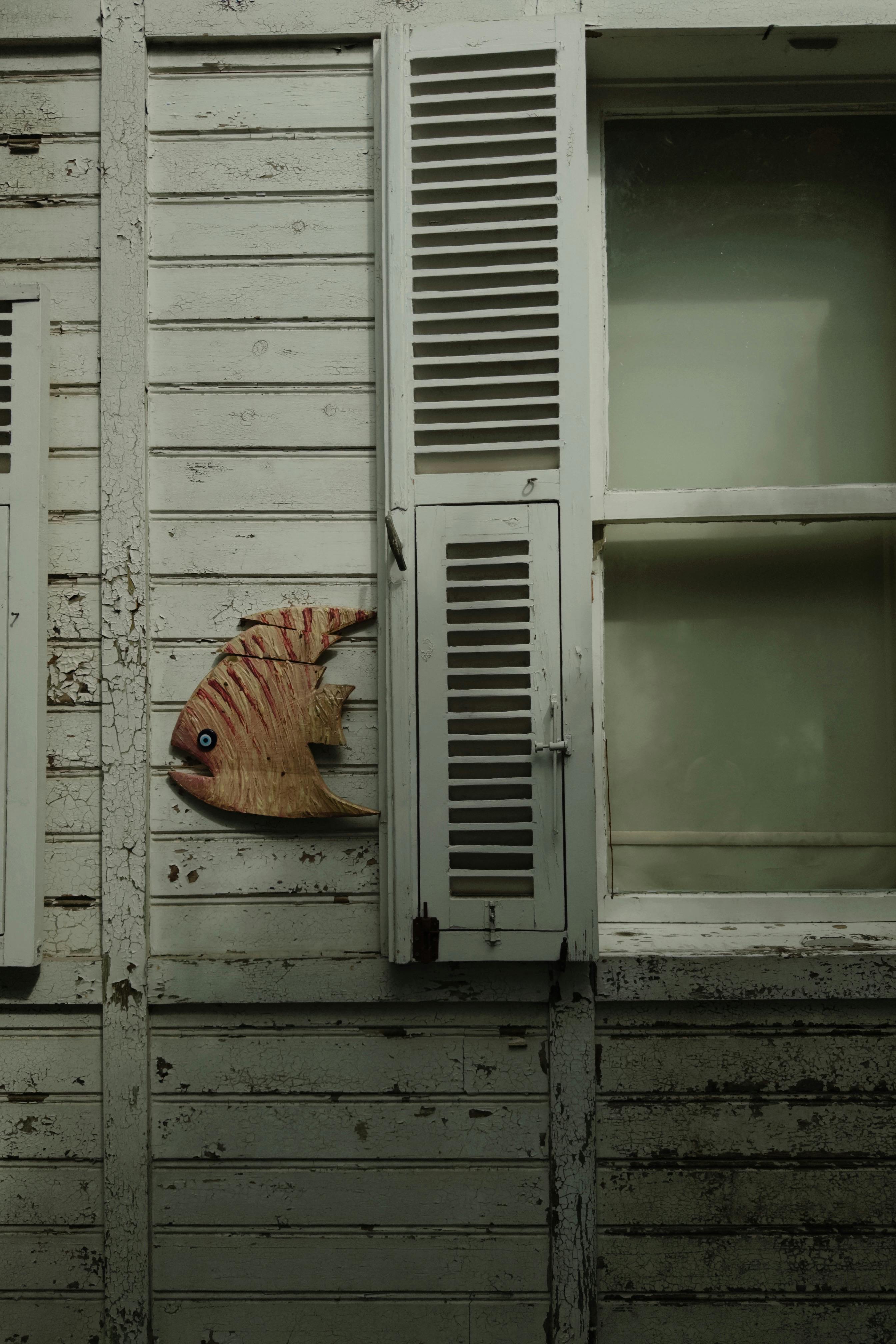 Fish Siding Photos, Download The BEST Free Fish Siding Stock Photos ...