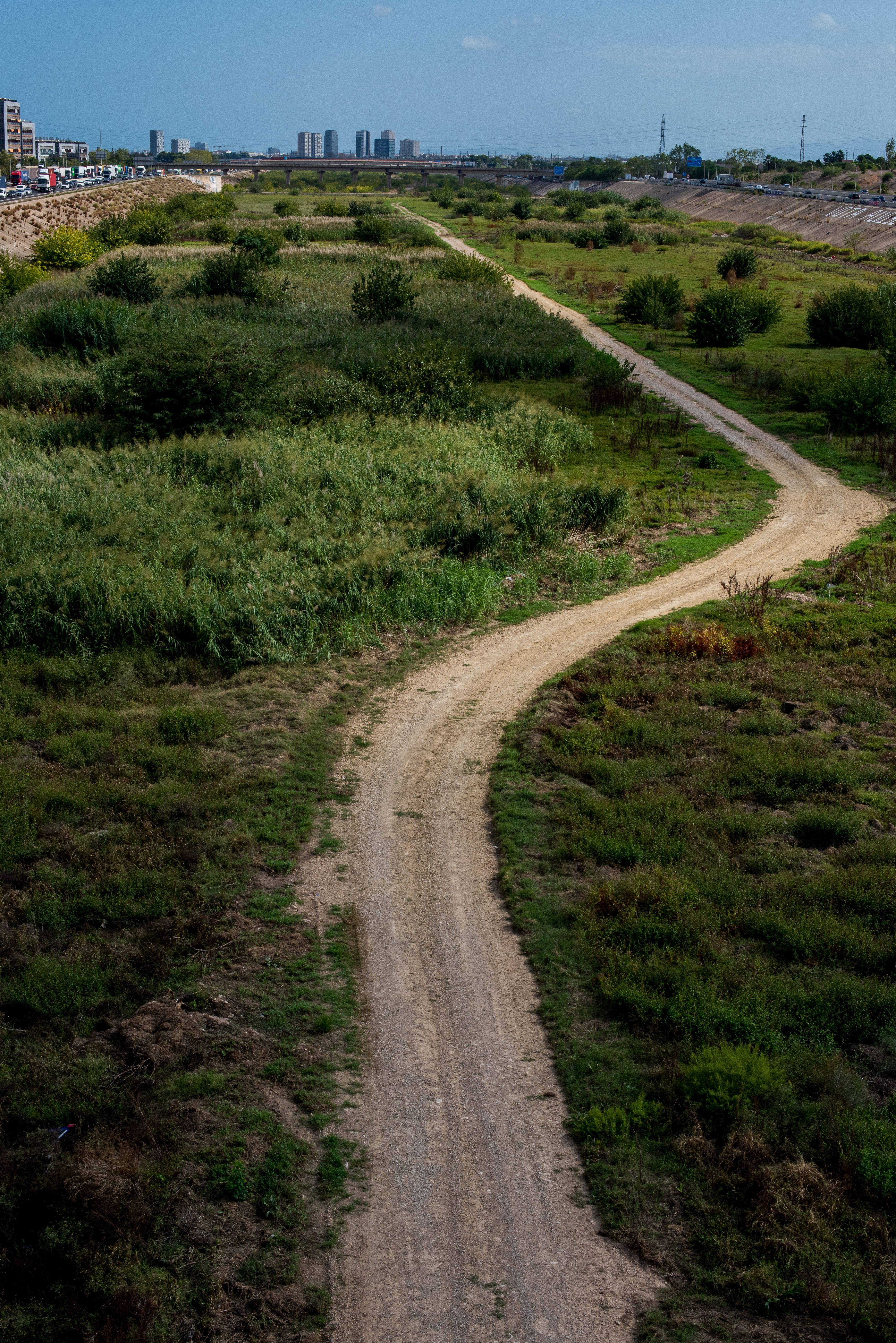 Winding Dirt Path through Green Landscape · Free Stock Photo