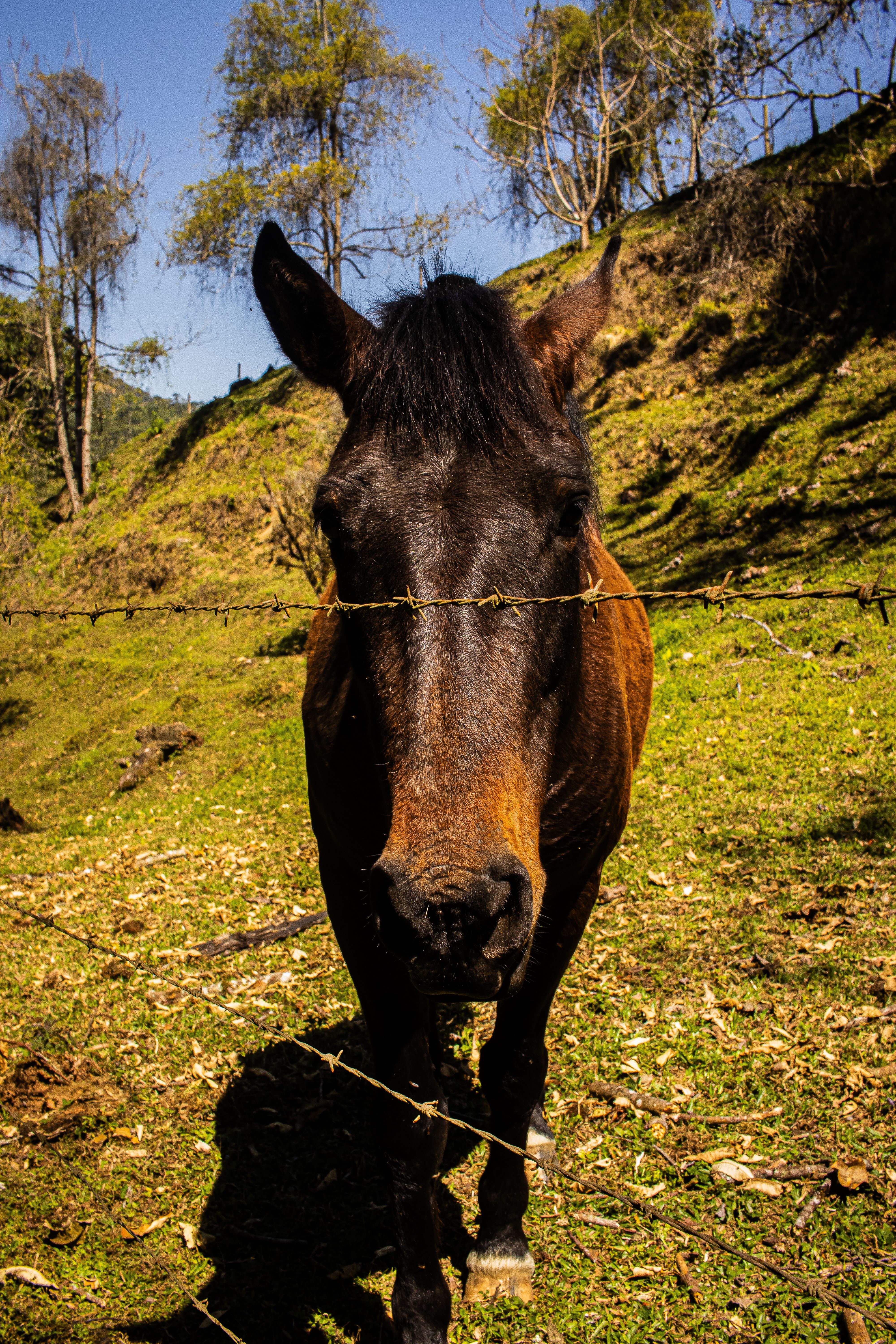 Wild And Protected Area Photos, Download The BEST Free Wild And ...