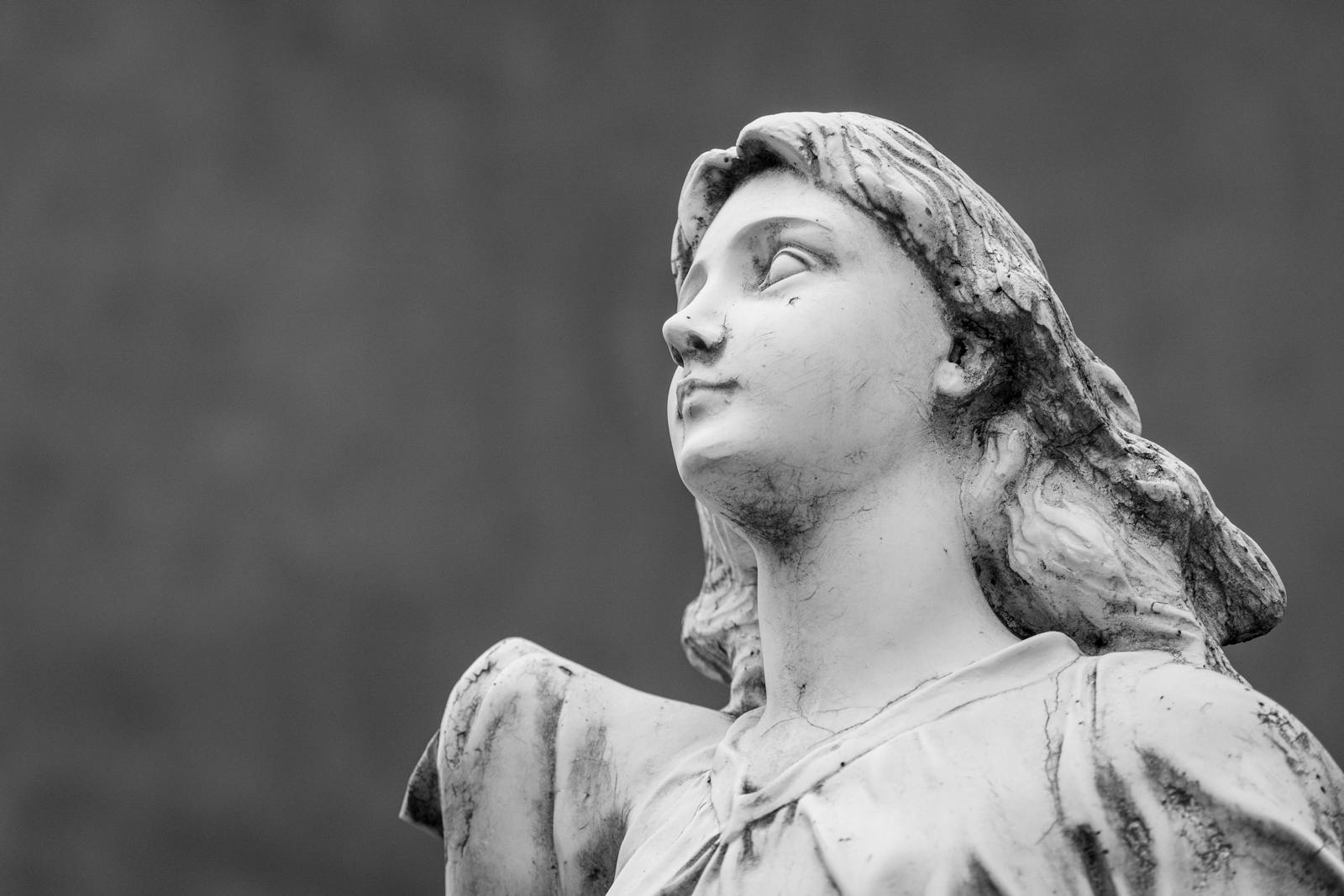 Angel Images Photos, Download The BEST Free Angel Images Stock Photos ...