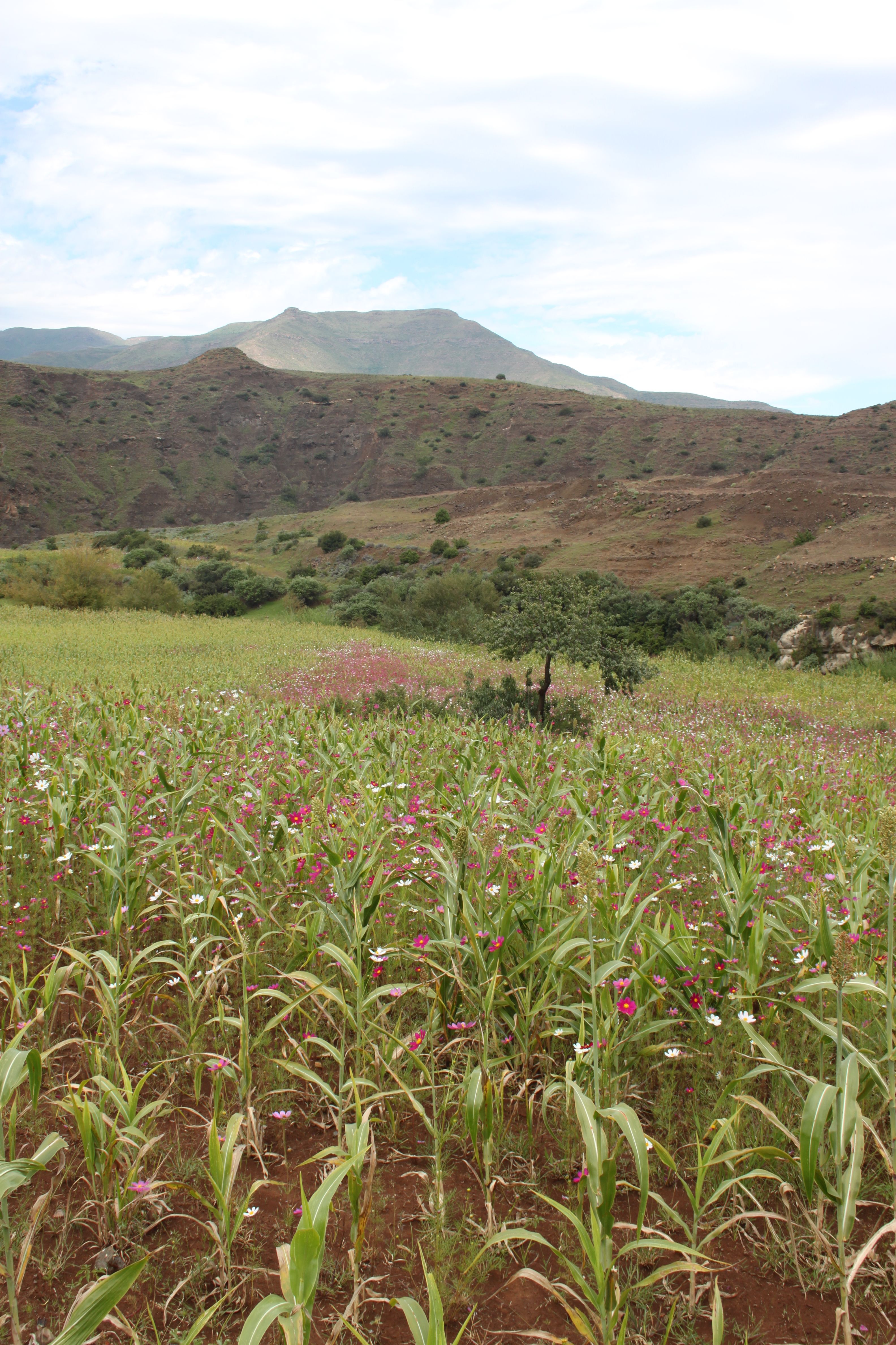 Lesotho Hills Photos, Download The BEST Free Lesotho Hills Stock Photos ...