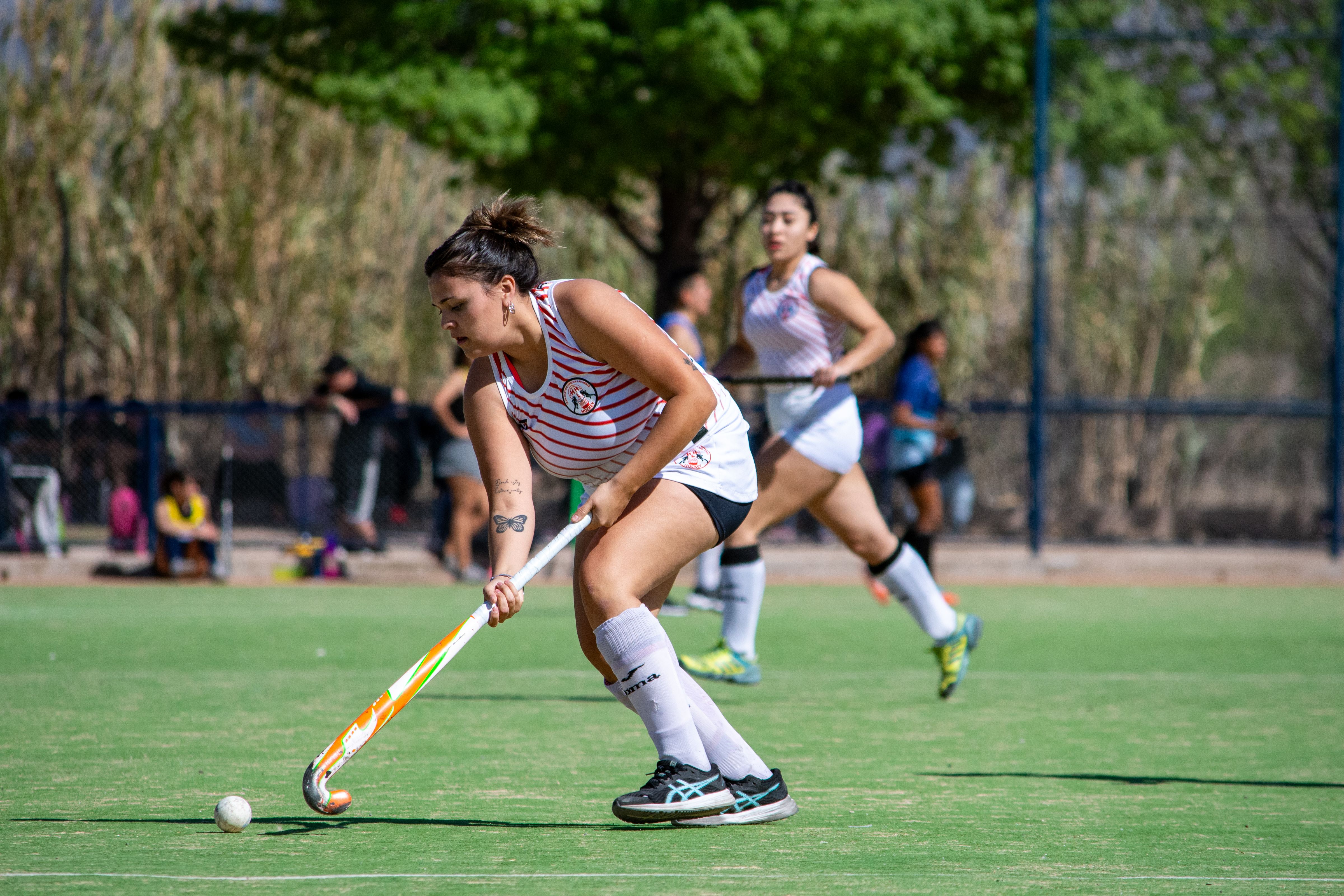 Woman Wearing Blue and Black Jersey Holding Field Hockey · Free Stock Photo