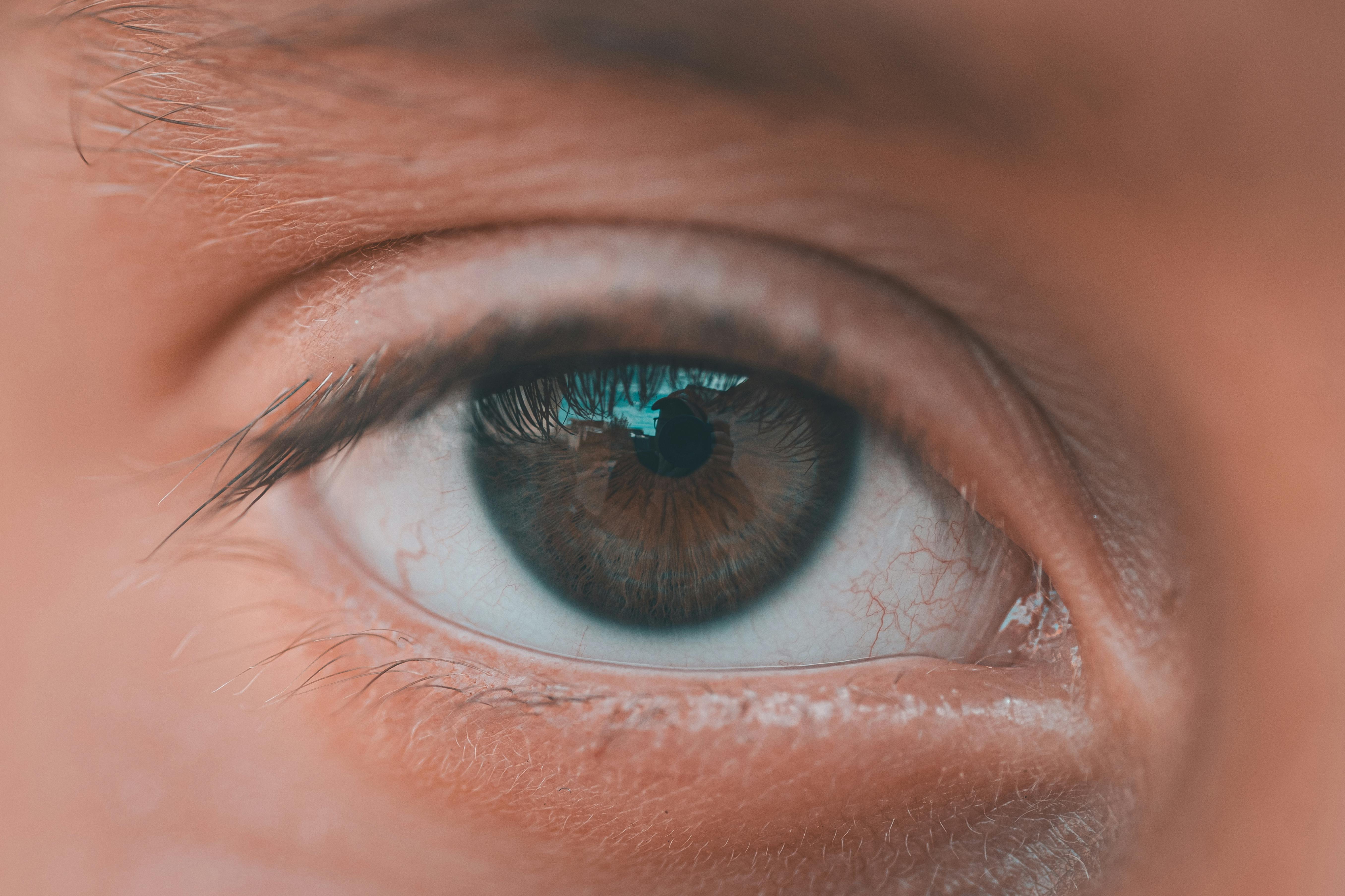 Macro Photo Of Eye · Free Stock Photo