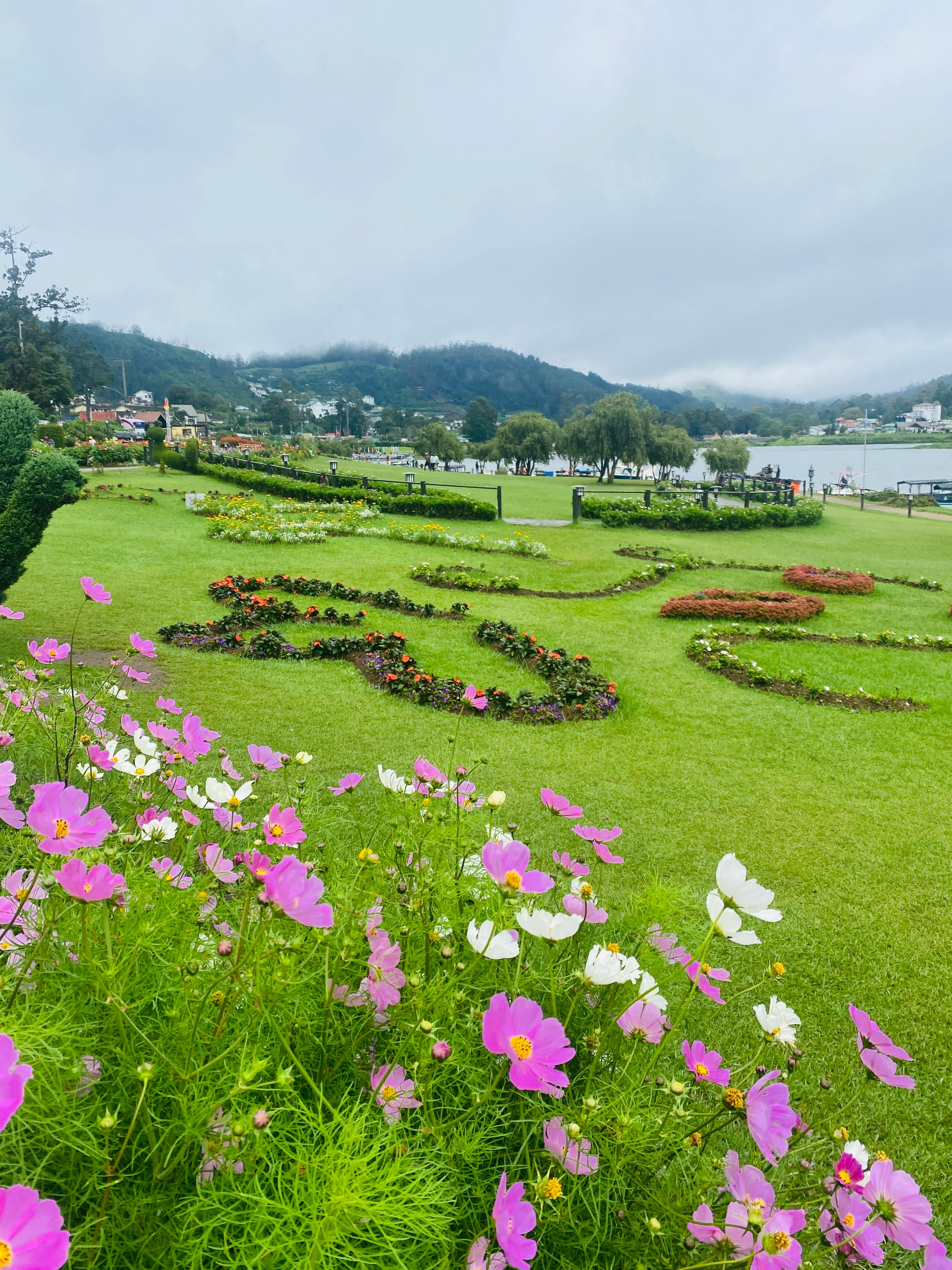 Haggala Botanical Garden In Nuwara Eliya Photos, Download The BEST Free ...