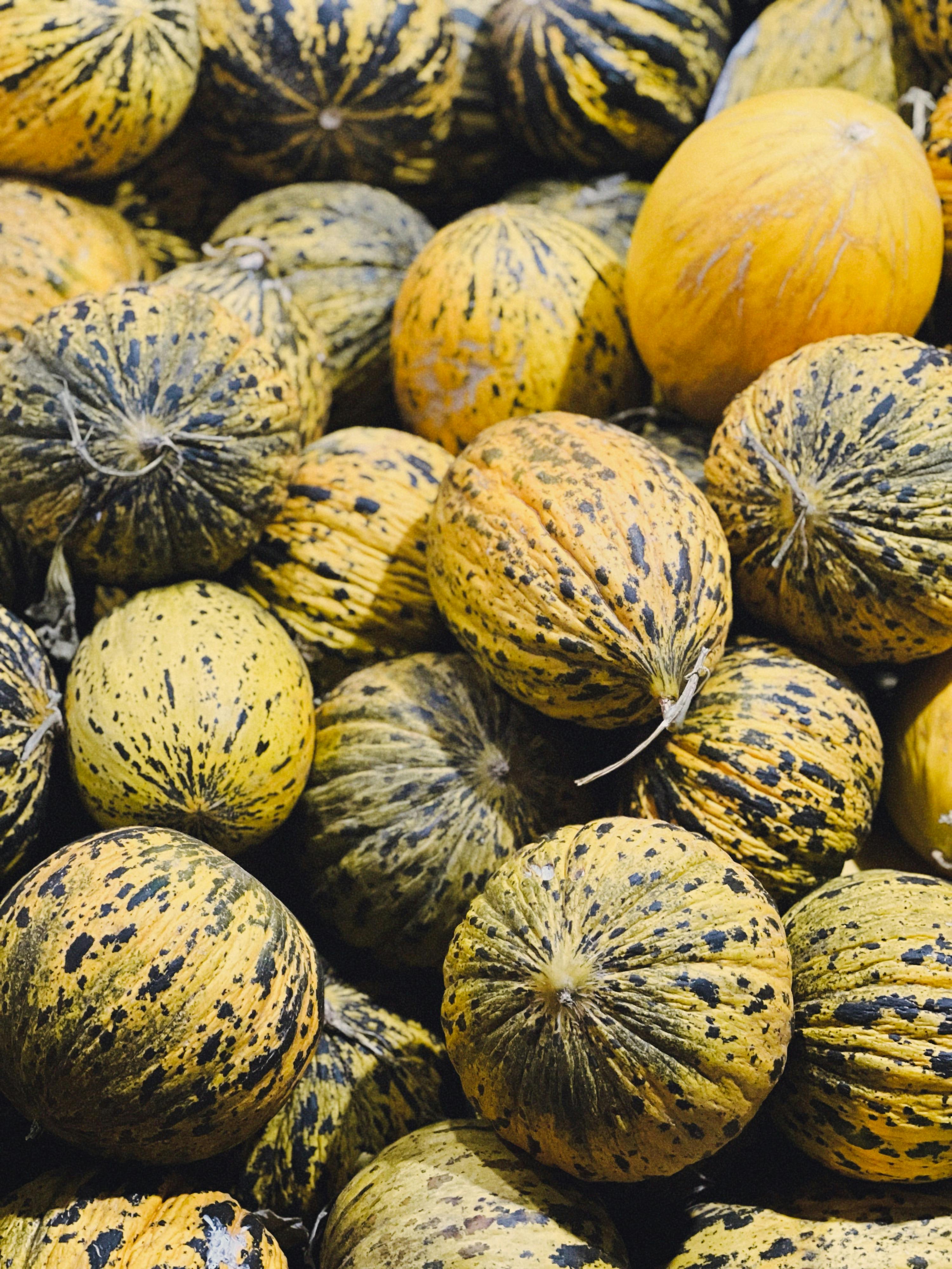 Pile of Fresh Striped Melons at Market · Free Stock Photo