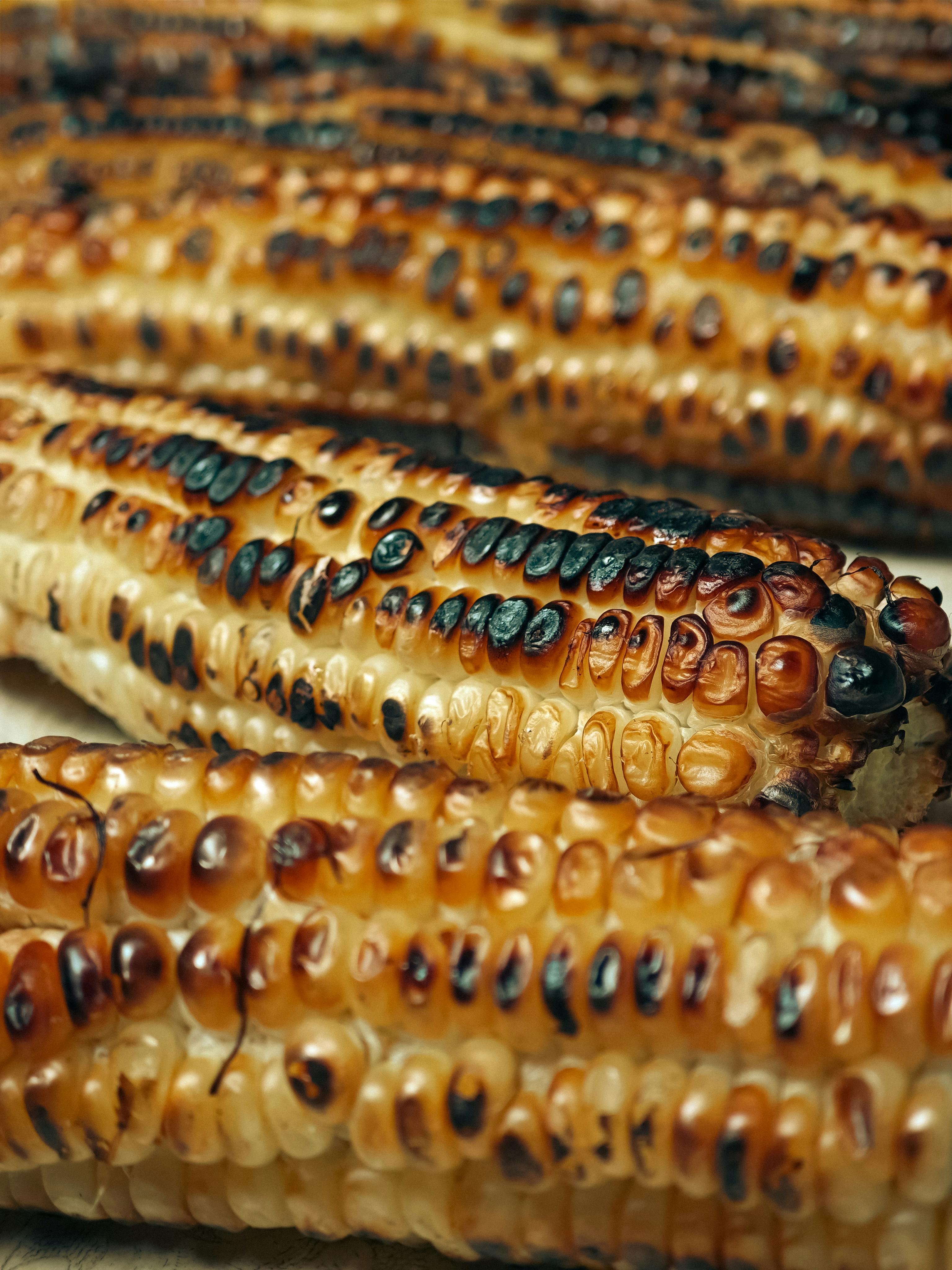 A roasted corn with dramatic look · Free Stock Photo